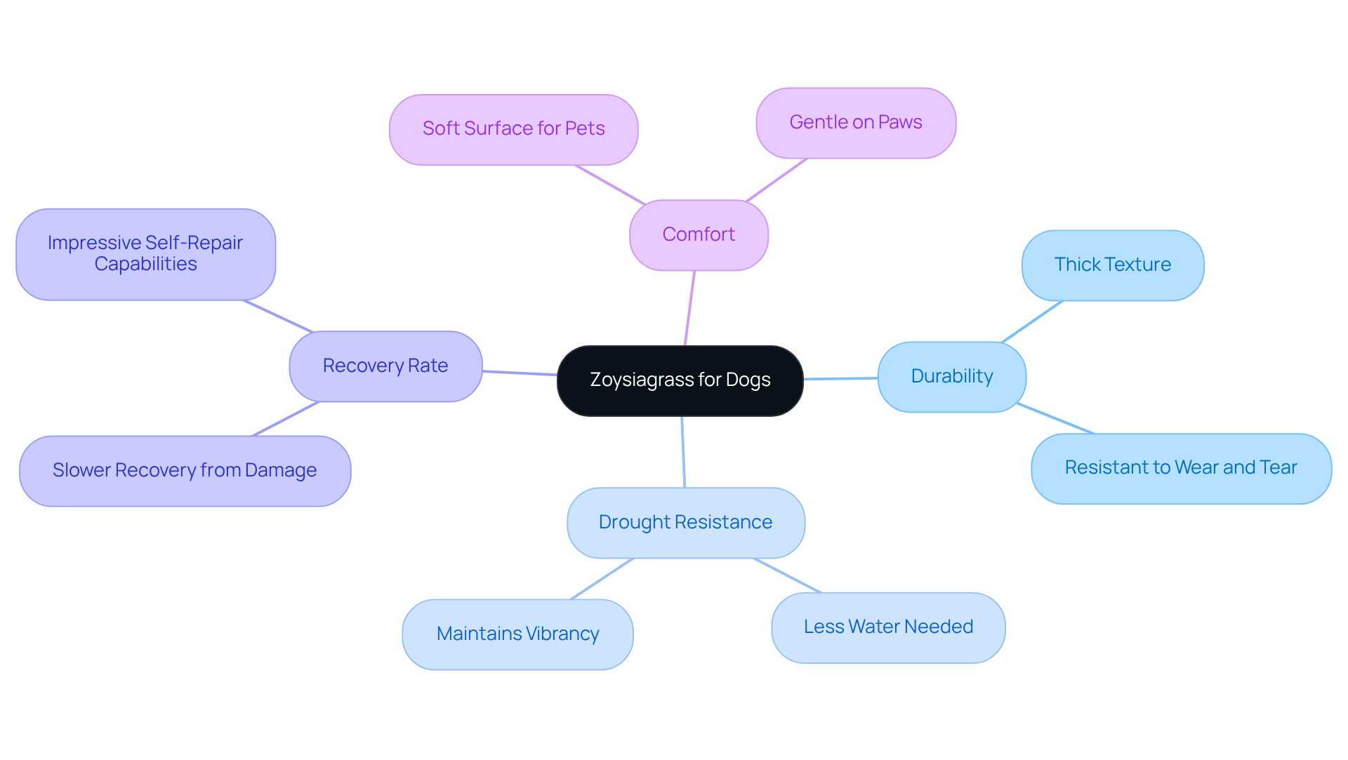 This mindmap starts with Zoysiagrass at the center, showing its main features and benefits for dog owners. Each branch represents a key aspect, helping you understand why Zoysiagrass is a great choice for a pet-friendly lawn. This mindmap starts with Zoysiagrass at the center, showing its main features and benefits for dog owners. Each branch represents a key aspect, helping you understand why Zoysiagrass is a great choice for a pet-friendly lawn.