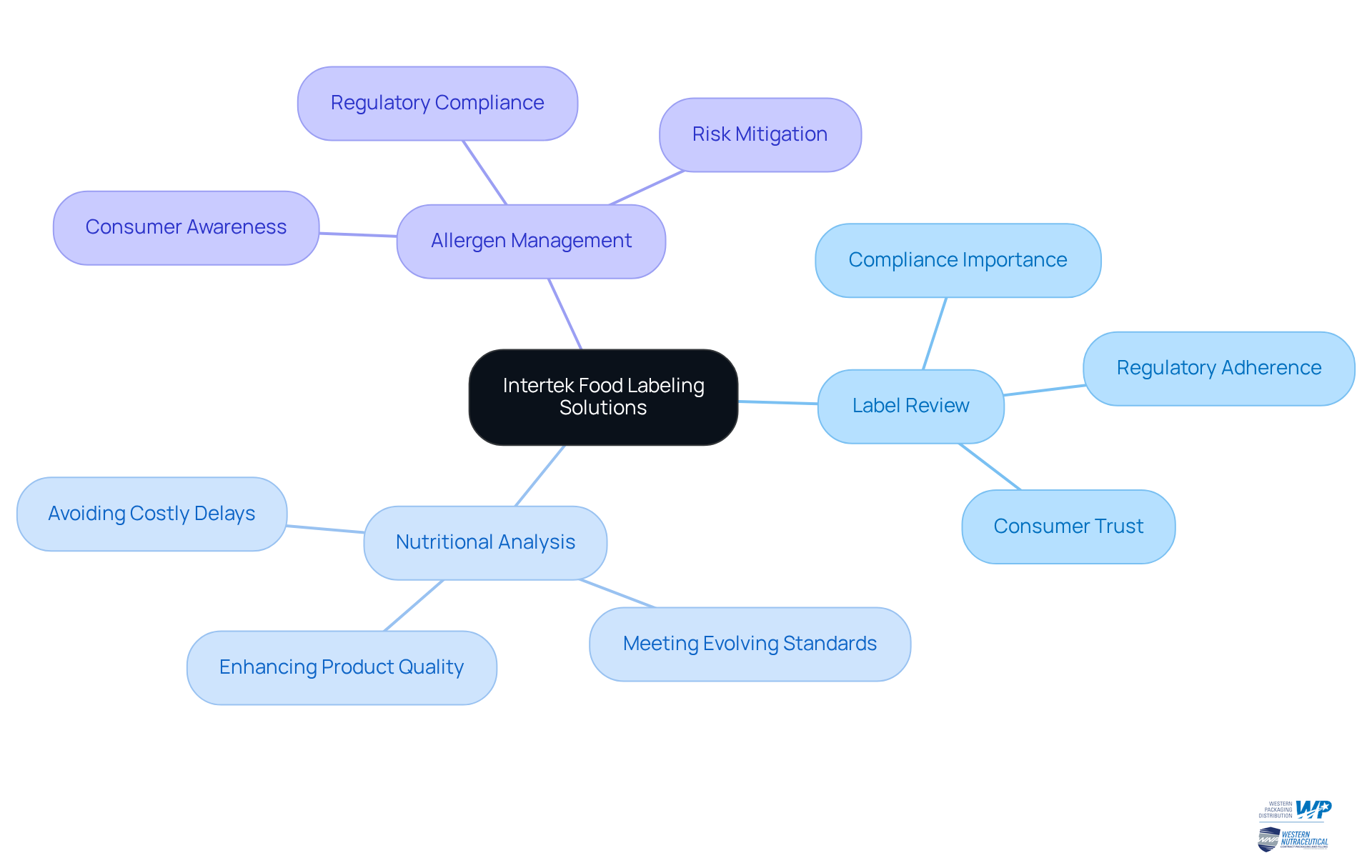 At the center is Intertek's labeling solutions, with branches showing key services and their importance. Each branch connects to details that explain how these services help in compliance and consumer protection.