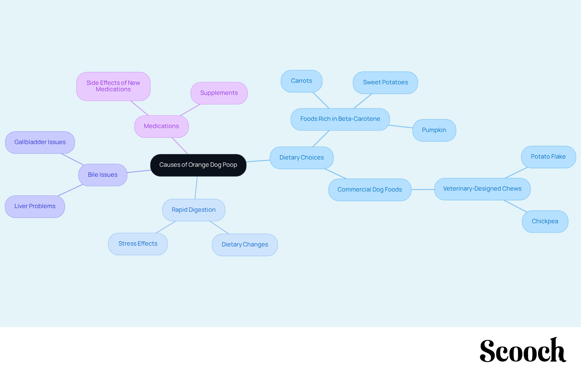 The central node represents the main topic, while the branches show different causes. Each color-coded branch helps you quickly identify the factors that might be affecting your dog's stool color.
