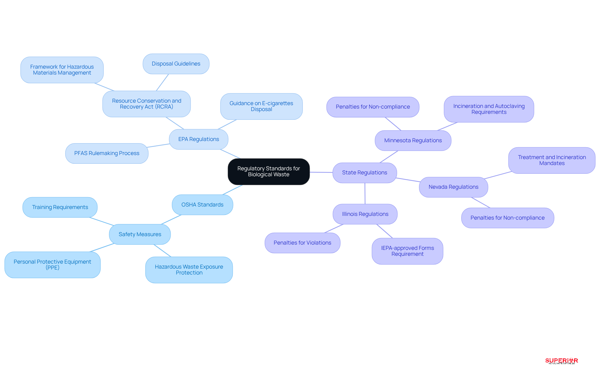 The central node represents the main topic of regulatory standards, while the branches show different regulatory bodies and their specific requirements. Each color-coded branch helps you quickly identify the type of regulation and its focus area.