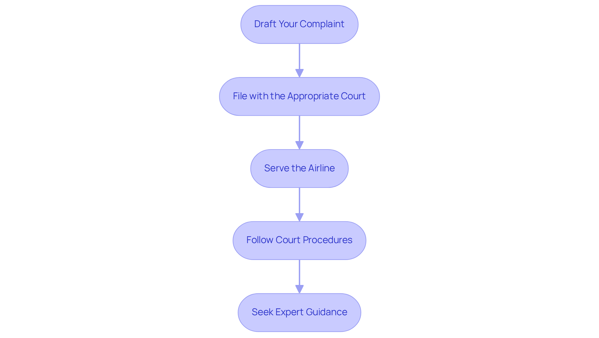 Each box represents a step in the lawsuit process. Follow the arrows to see how to move from drafting your complaint to seeking expert guidance.
