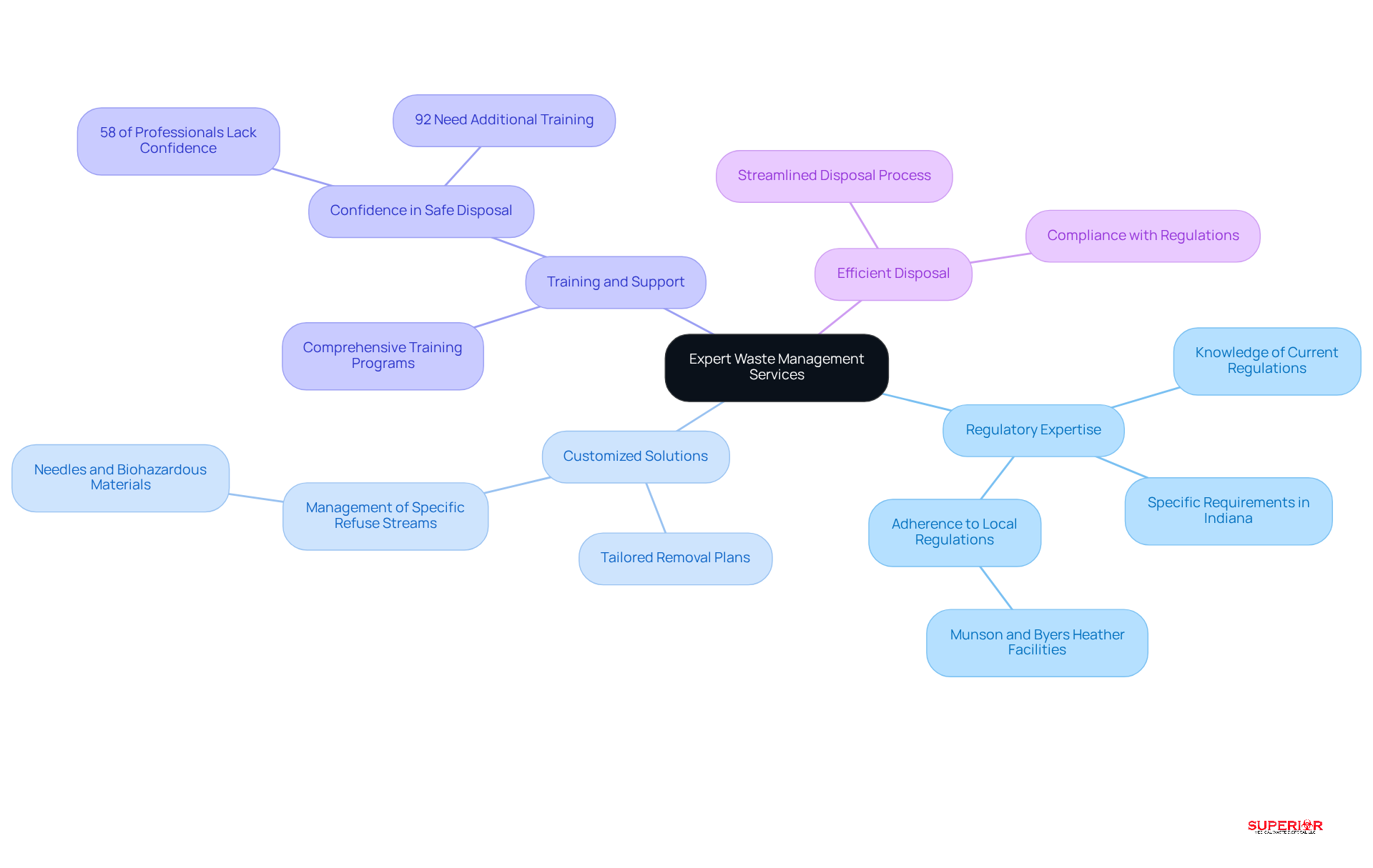 The central node represents the main topic, while the branches show the key advantages of partnering with expert services. Each sub-branch provides additional details or examples related to that advantage.