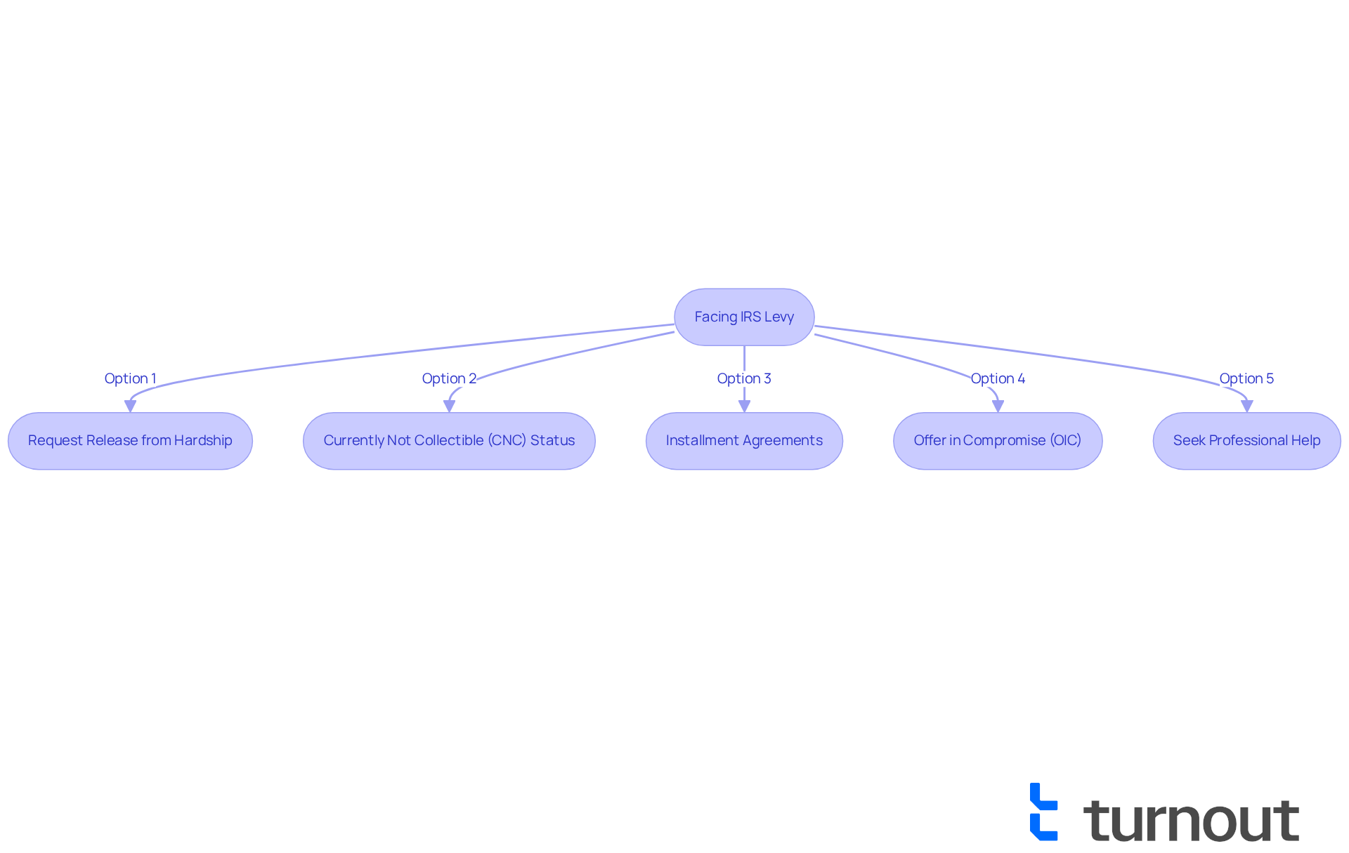 Each box represents a step you can take to manage your IRS levy situation. Follow the arrows to see your options and how they connect to help you regain control of your finances.