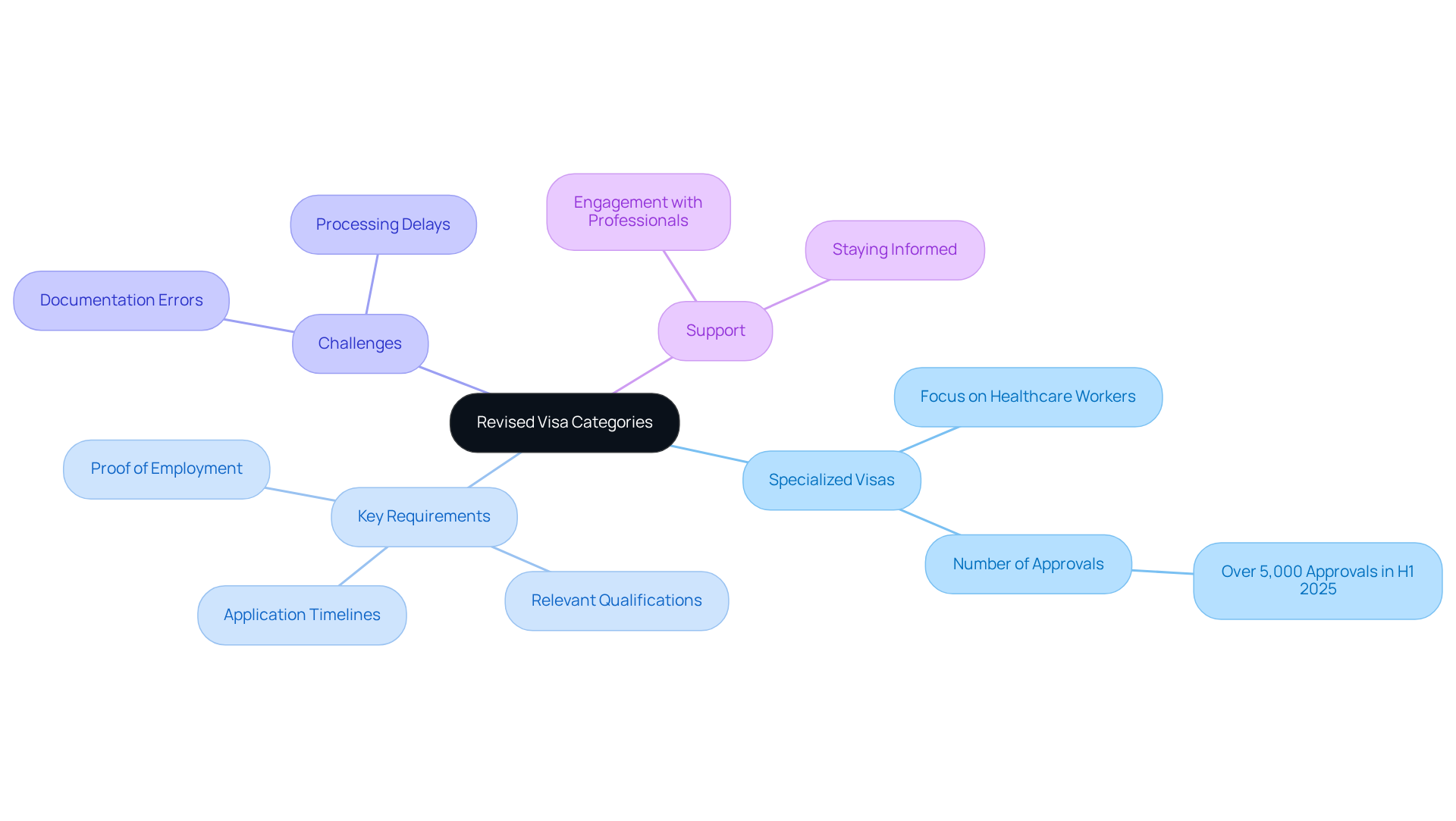 Each branch represents a key aspect of the revised visa categories. Follow the branches to understand how specialized visas for healthcare workers connect to requirements and potential challenges.