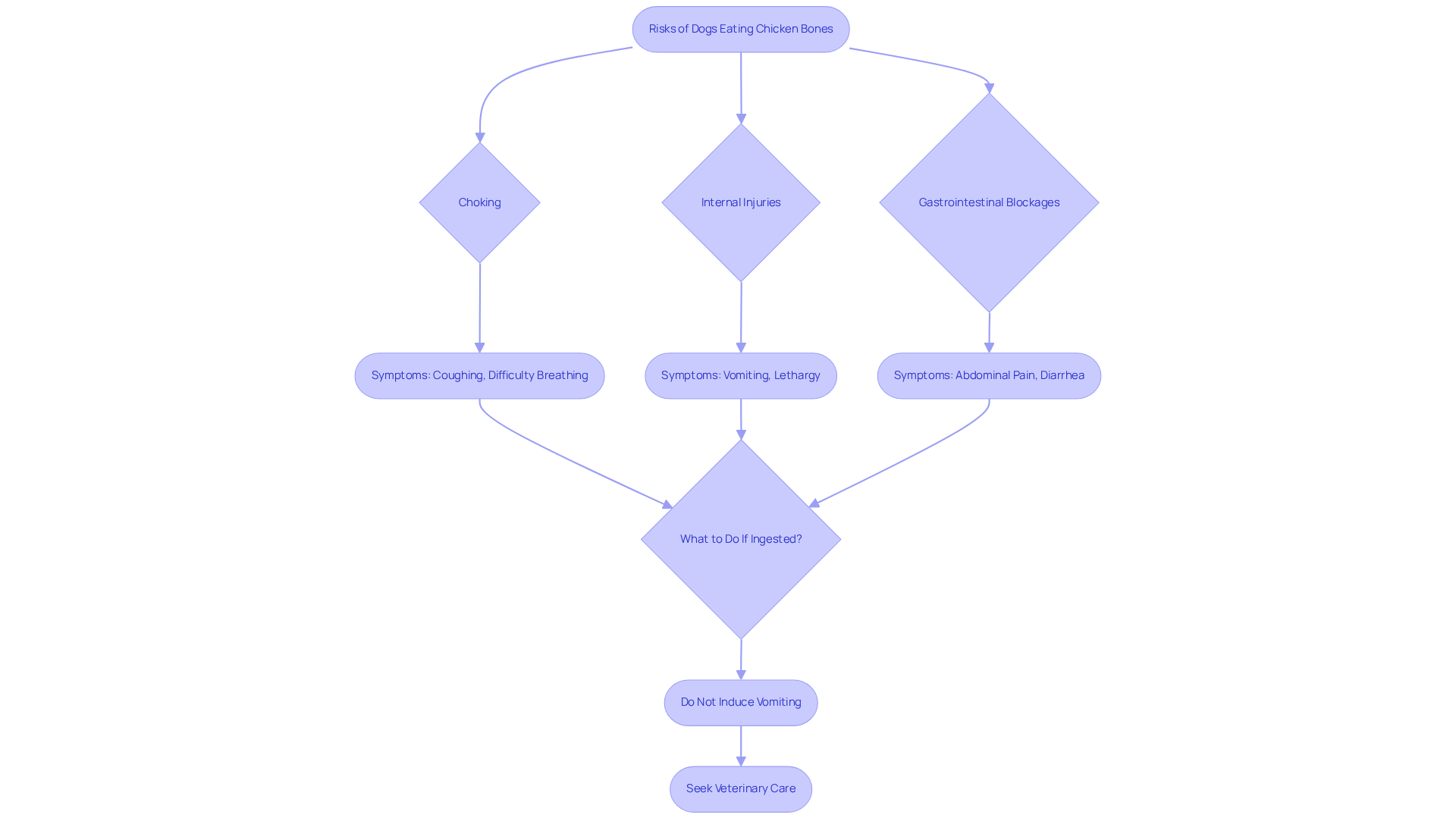 This flowchart shows the potential risks of dogs consuming chicken bones and the actions you should take. Follow the arrows to understand the hazards and what symptoms to watch for, along with the crucial step of seeking veterinary help if ingestion occurs.