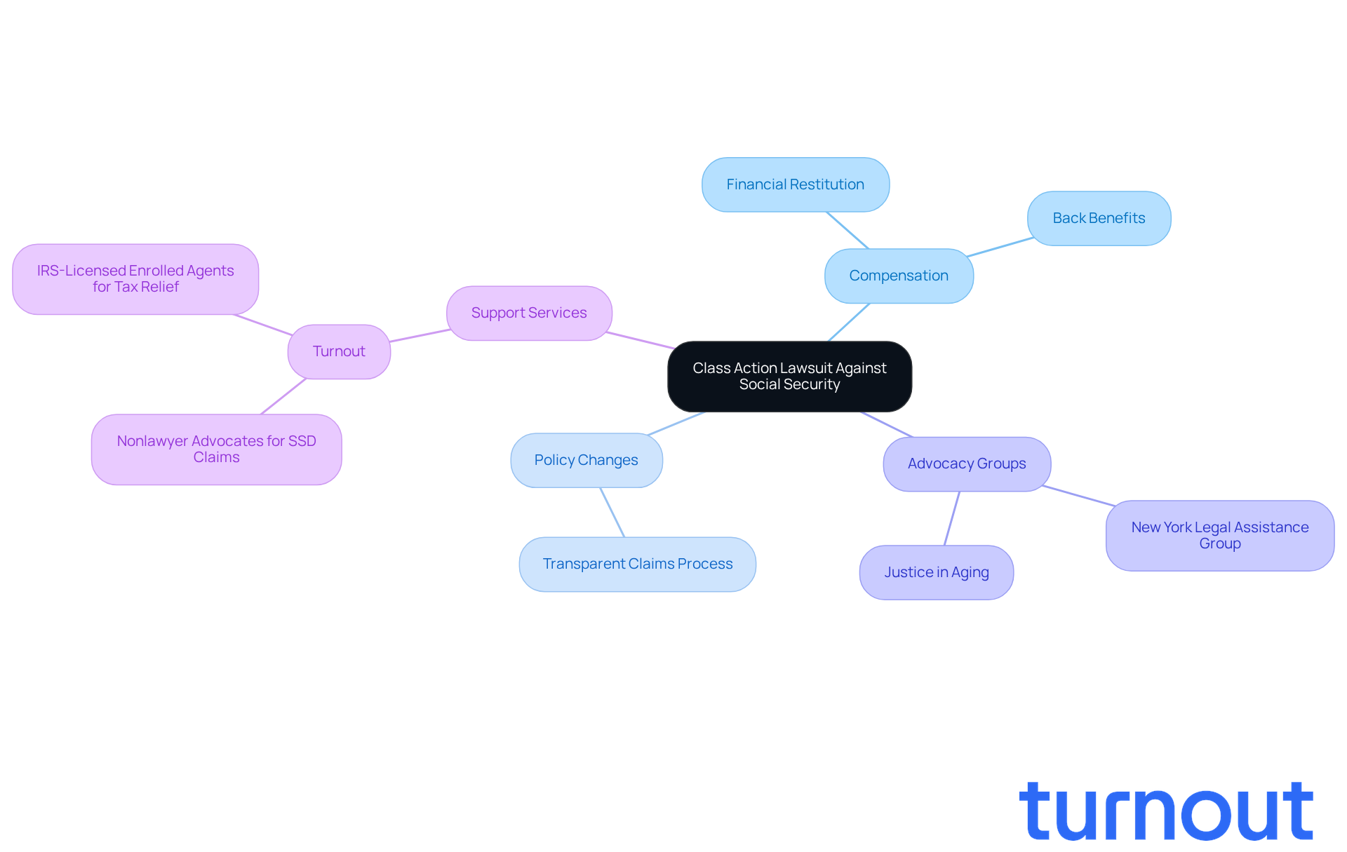 The central node represents the lawsuit, with branches showing the different outcomes and support systems. Each branch connects to specific actions or organizations involved, helping you see how everything is related.