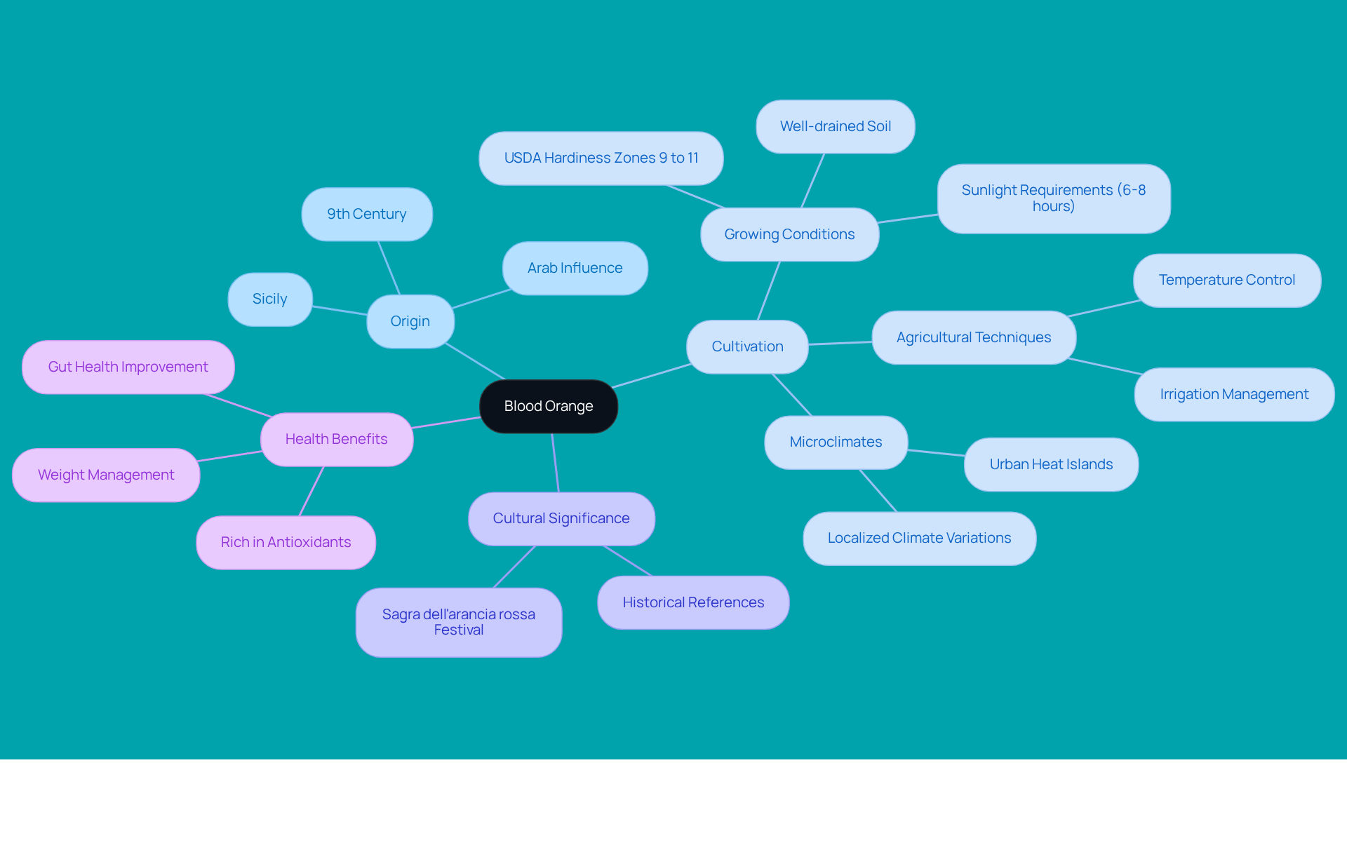 This mindmap starts with blood oranges at the center, branching out to show their history, how they are grown, their cultural importance, and health benefits. Each branch represents a different aspect of blood oranges, making it easy to see how everything is connected.