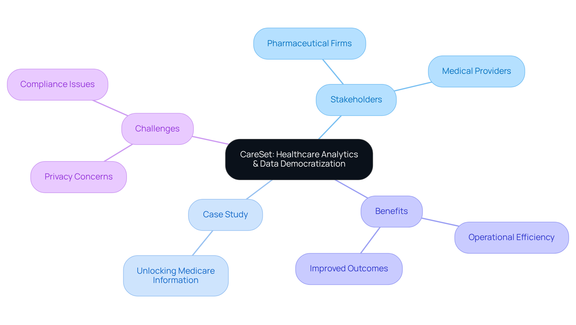 The central node represents CareSet's main focus, while each branch shows related concepts and stakeholders. This visual helps you see how everything connects, from the people involved to the outcomes they aim for.