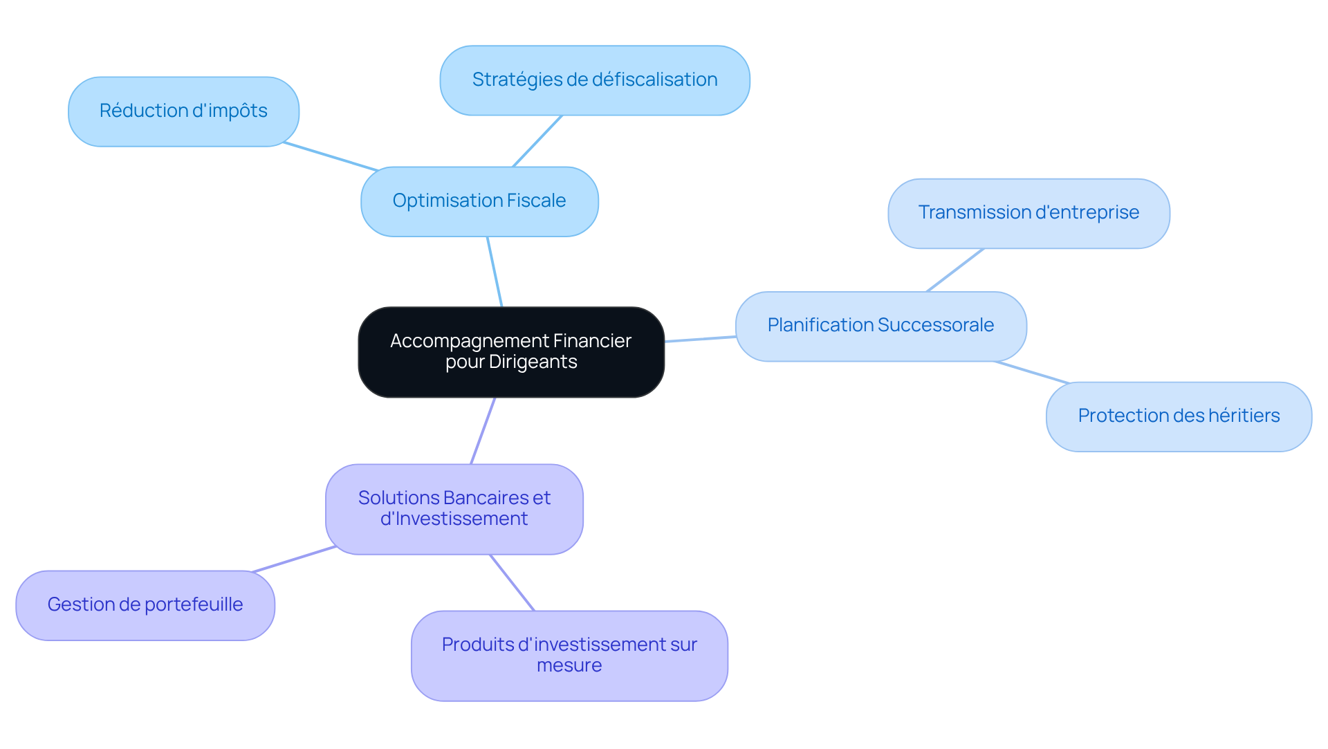 Le nœud central représente l'accompagnement financier, et les branches montrent les différentes stratégies qui aident les dirigeants à gérer leurs finances efficacement.