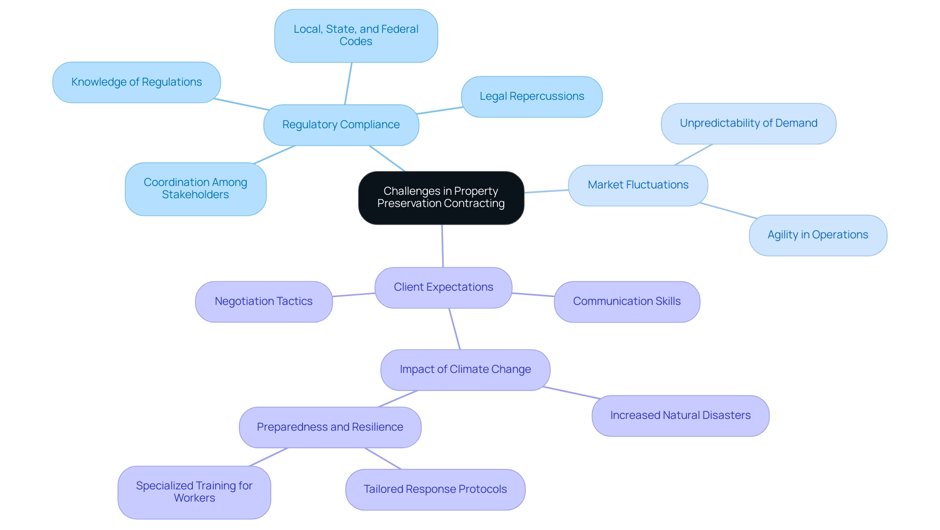 The central node represents the overarching challenges, with branches showing the key issues and their specific elements.