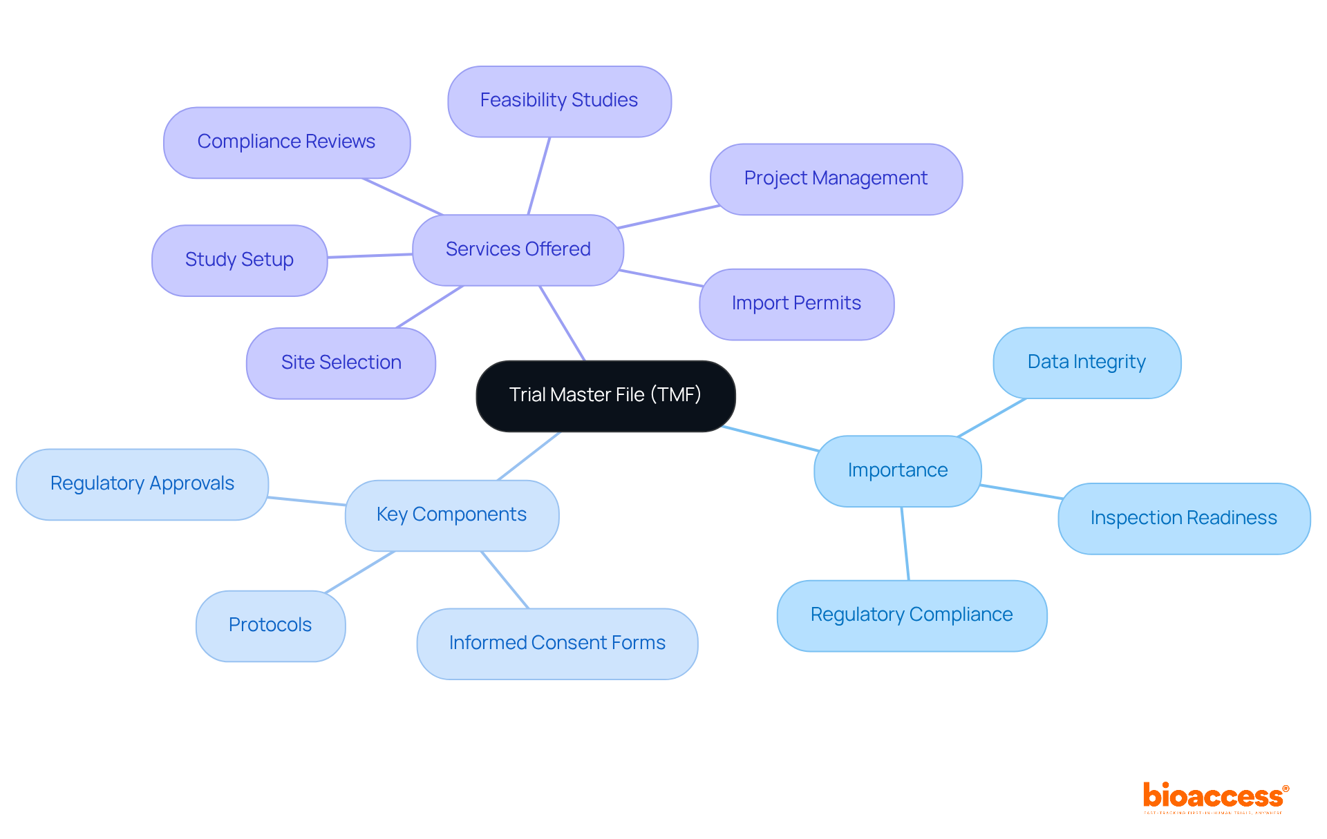 The central node represents the TMF, with branches showing its importance, key components, and the services we provide. Each branch helps you see how these elements connect and contribute to effective clinical study management.