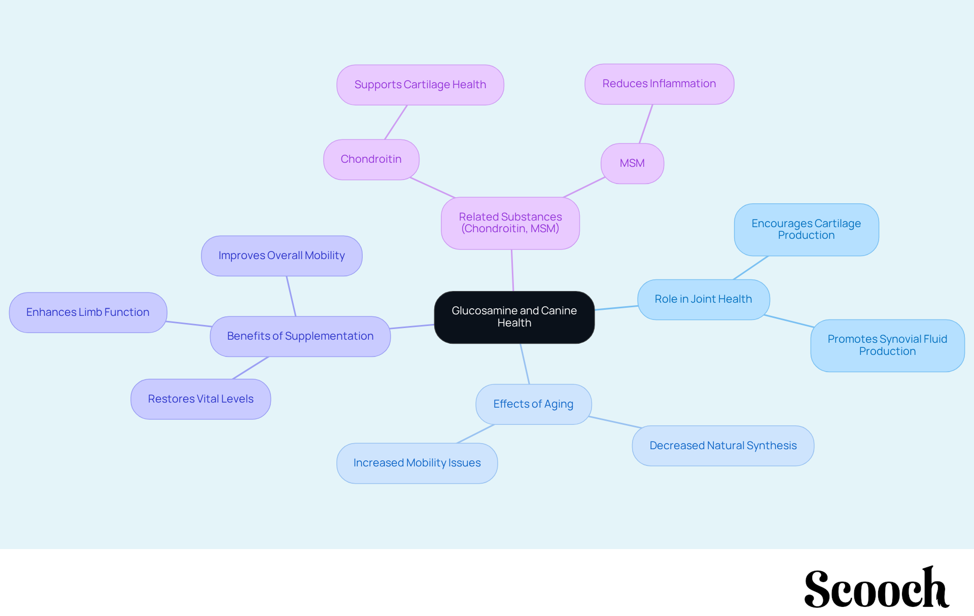 The center represents glucosamine's importance, while the branches show how it relates to joint health and aging in dogs. Each color-coded branch highlights a different aspect of glucosamine and its benefits.