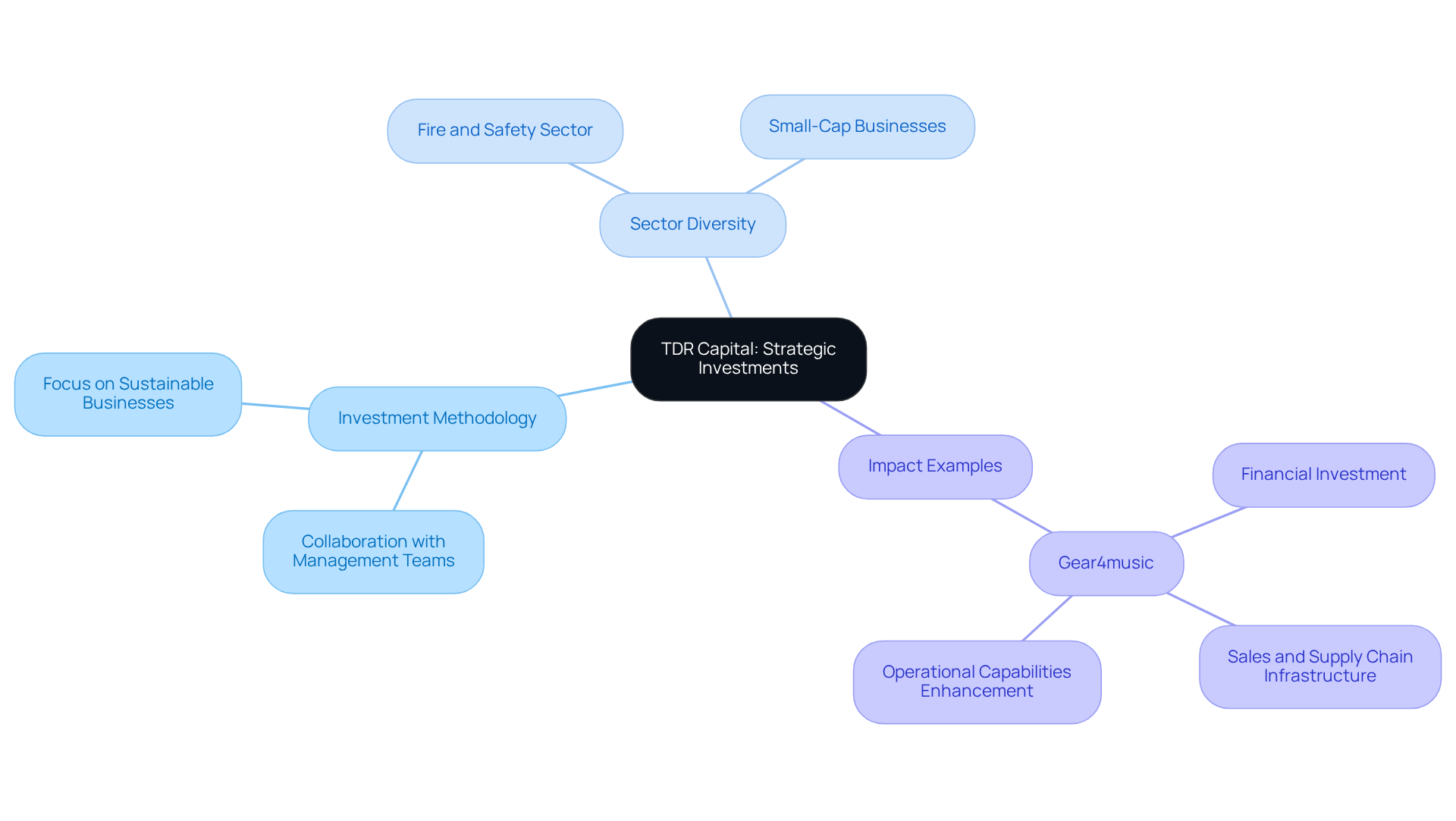The center represents TDR Capital's overall strategy, with branches showing how they invest in different sectors and examples of companies they've helped grow.