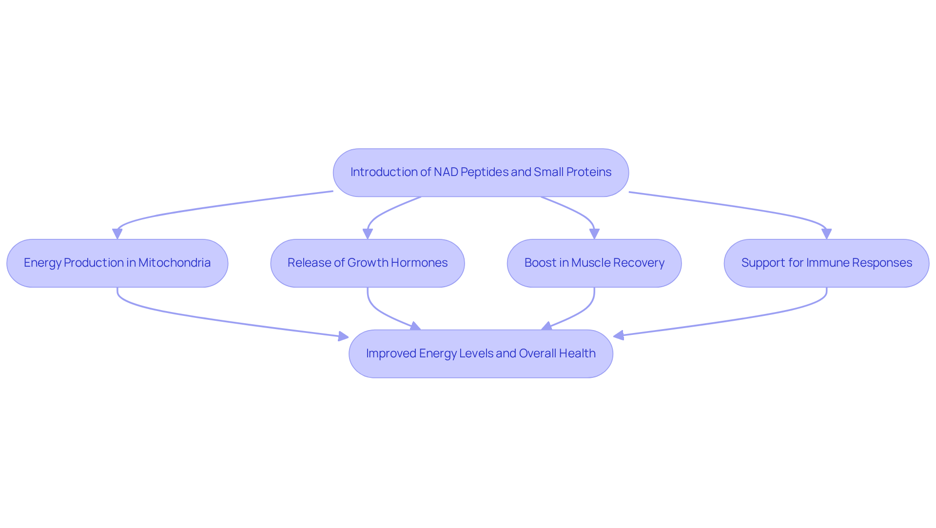 This flowchart illustrates how NAD peptides and small proteins work together in the body. Start at the top with their introduction, then follow the arrows to see how they help produce energy and enhance health. Each step shows a key benefit, leading to an overall improvement in vitality.