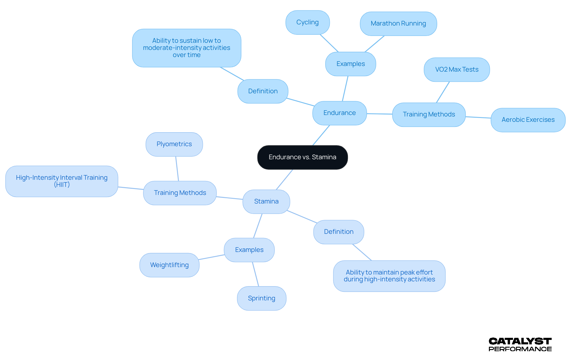 The central node represents the main topic, while the branches show the differences and training methods for endurance and stamina. Each color-coded section helps you see how these concepts relate and differ. The central node represents the main topic, while the branches show the differences and training methods for endurance and stamina. Each color-coded section helps you see how these concepts relate and differ.