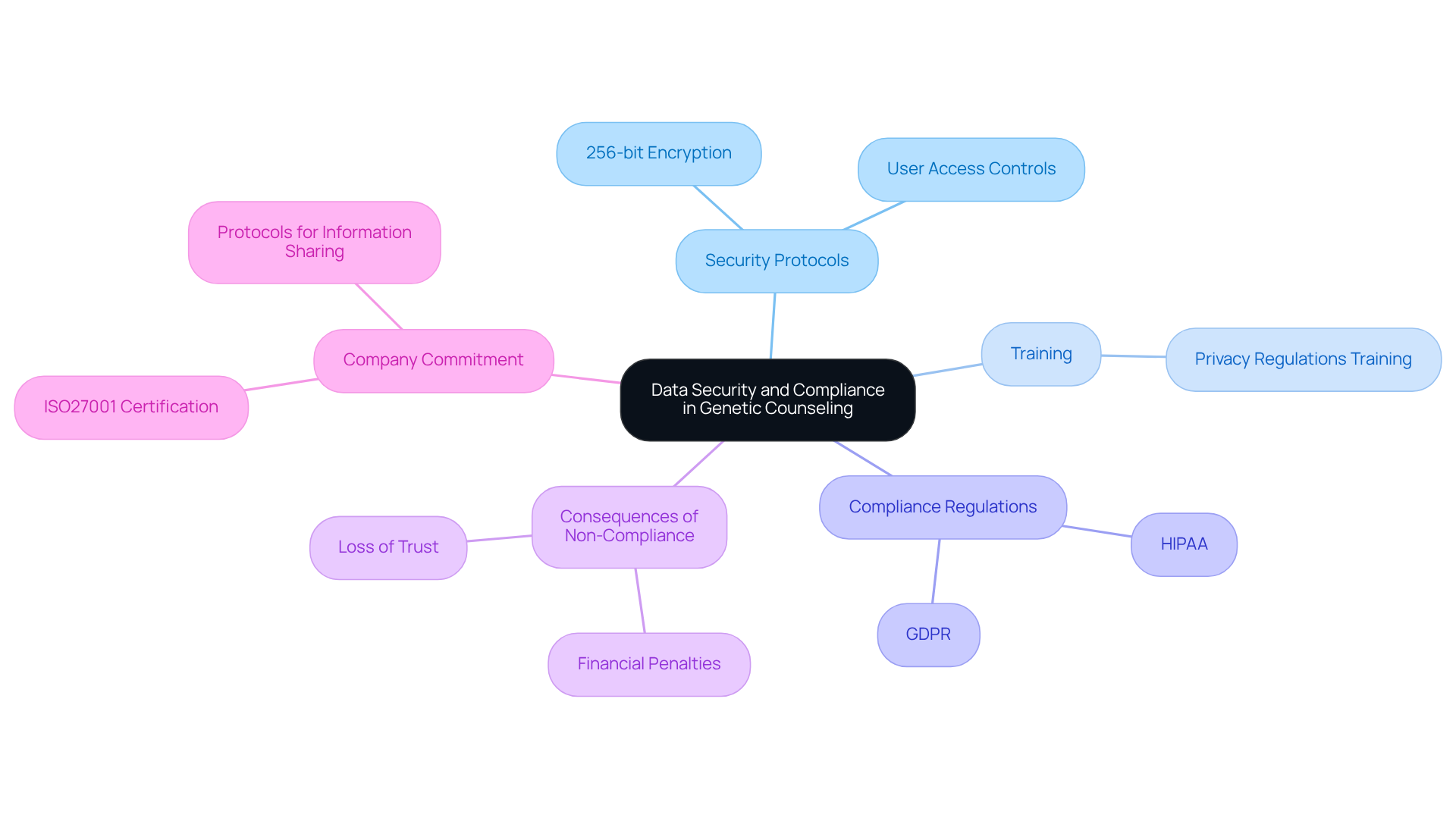 The center represents the main focus on data security and compliance, with branches showing specific areas of importance. Each branch highlights critical components that contribute to safeguarding patient information.