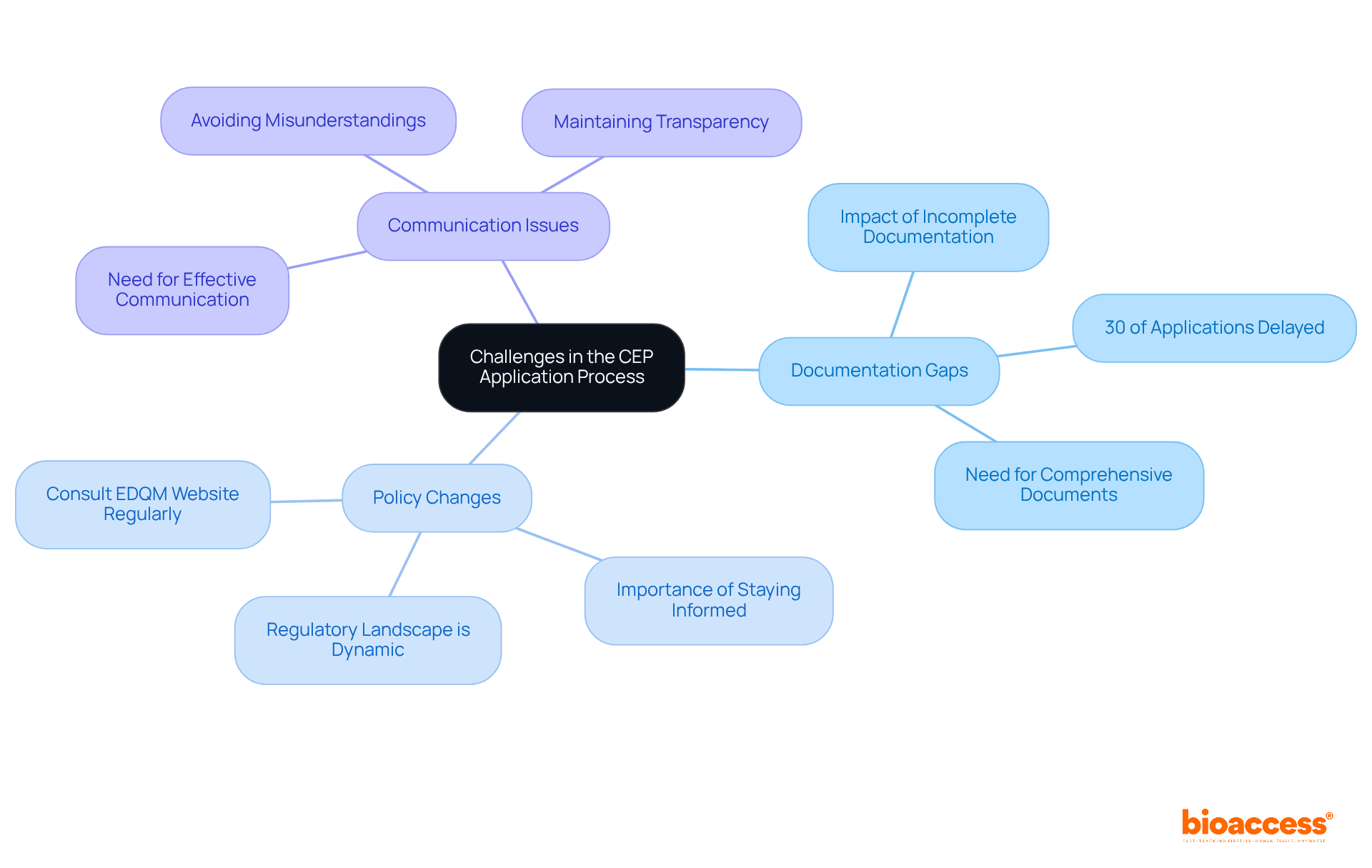 The central node represents the overall theme, and the branches illustrate specific challenges faced during the application process. Each branch can be explored to understand the details of each challenge.