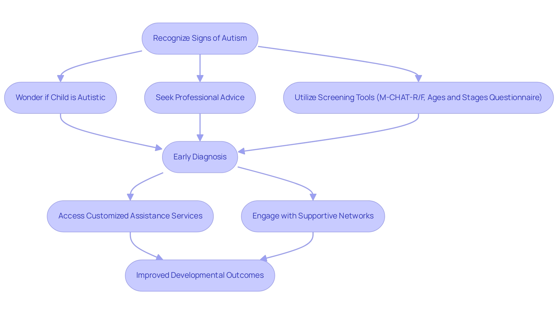 Each box represents a step in the process of recognizing autism signs and obtaining support, with arrows indicating the progression from one step to the next.