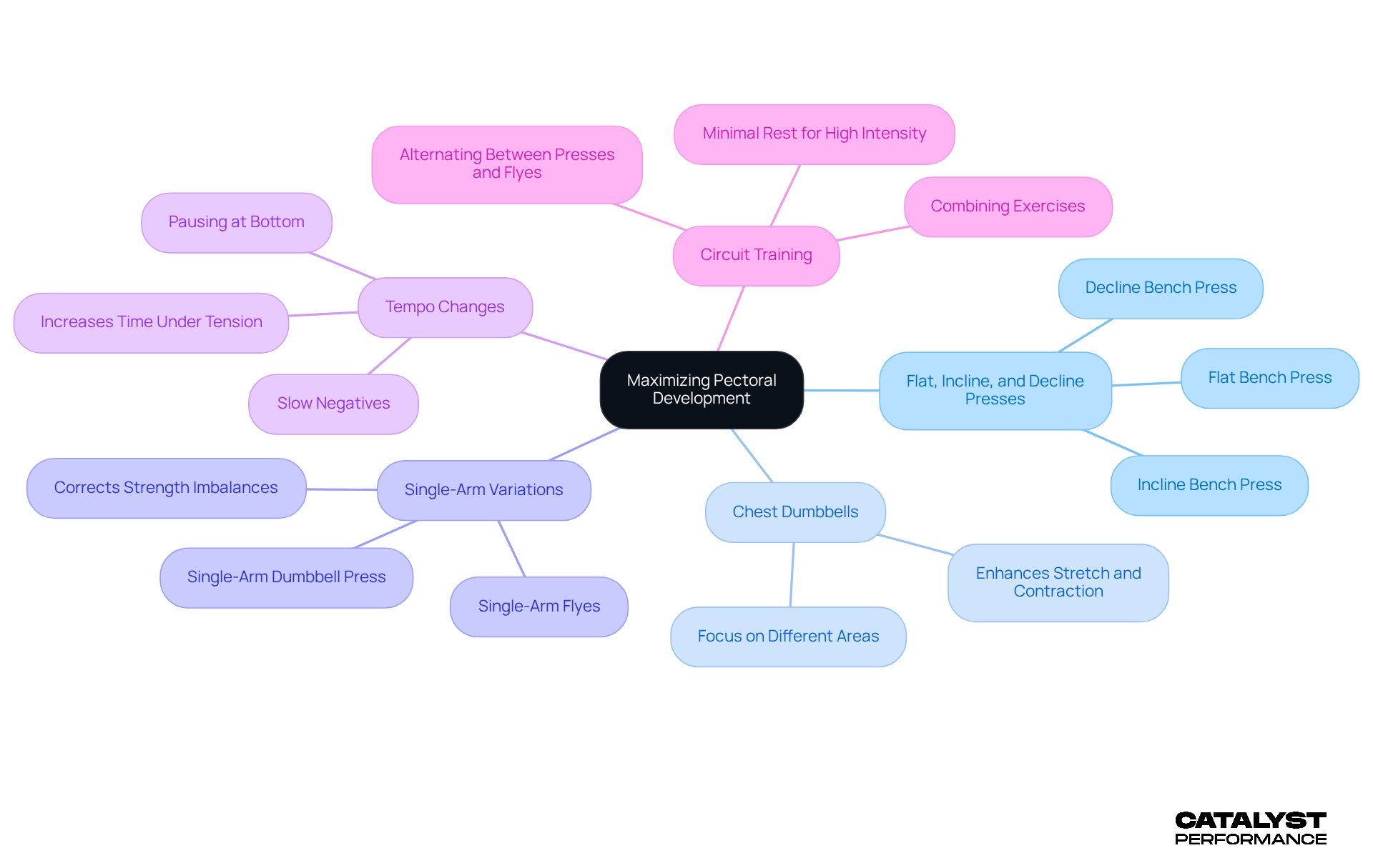 Start at the center with the main goal of maximizing pectoral development, then explore each branch to see different strategies and how they contribute to your workout routine. Start at the center with the main goal of maximizing pectoral development, then explore each branch to see different strategies and how they contribute to your workout routine.