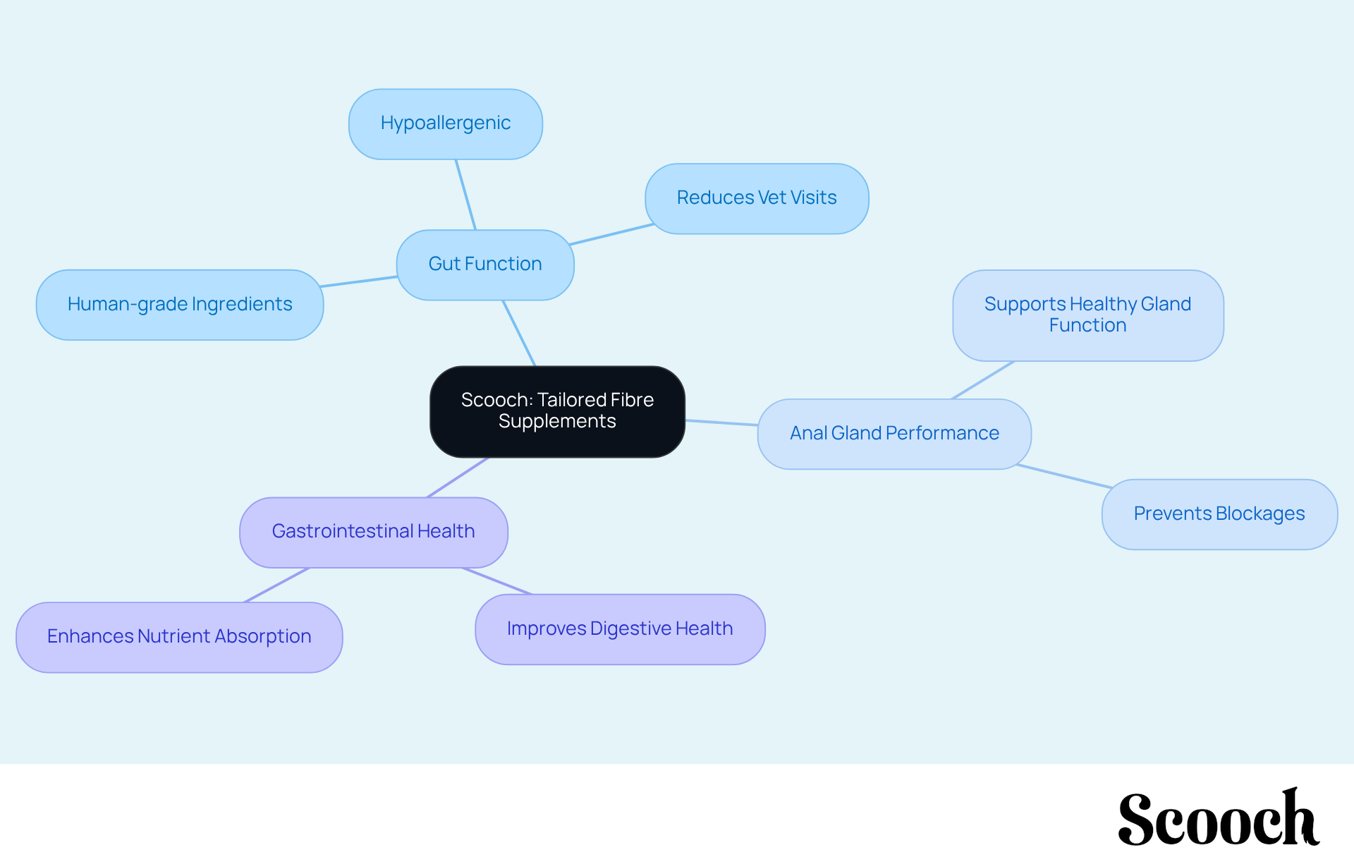 The center shows Scooch's main offering, and each branch highlights key health benefits and features of the supplements. Follow the branches to understand how each area contributes to your dog's overall well-being.