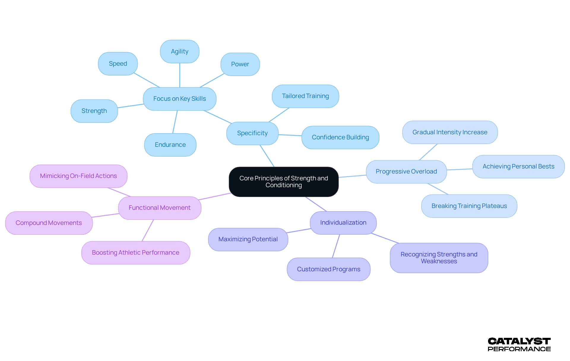 The center represents the main topic, while the branches show each principle. Each principle has its own color and connects to specific ideas that explain its importance in training.