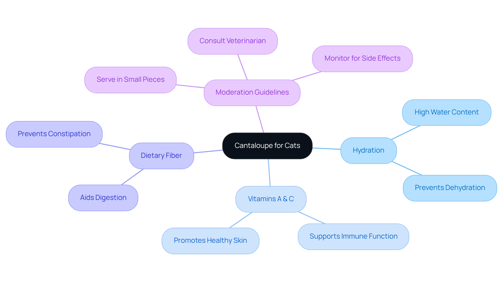 The central idea is the treat itself, with branches showing benefits and guidelines. Each branch reveals important information to help you understand how cantaloupe can be a safe and healthy snack for your feline friends. The central idea is the treat itself, with branches showing benefits and guidelines. Each branch reveals important information to help you understand how cantaloupe can be a safe and healthy snack for your feline friends.