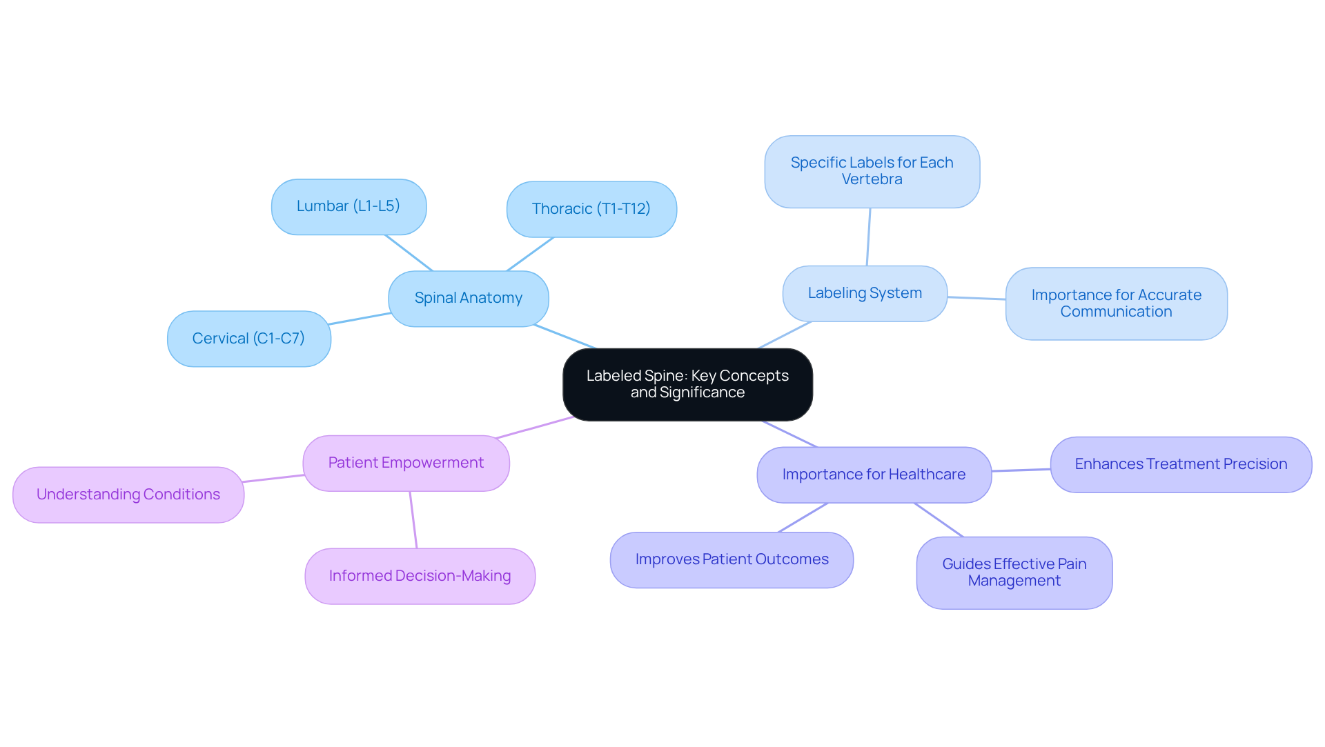 This mindmap illustrates the key concepts related to the labeled spine. Start at the center with the main idea, then explore the branches to see how spinal anatomy is organized and why it's important for both healthcare providers and patients. This mindmap illustrates the key concepts related to the labeled spine. Start at the center with the main idea, then explore the branches to see how spinal anatomy is organized and why it's important for both healthcare providers and patients.