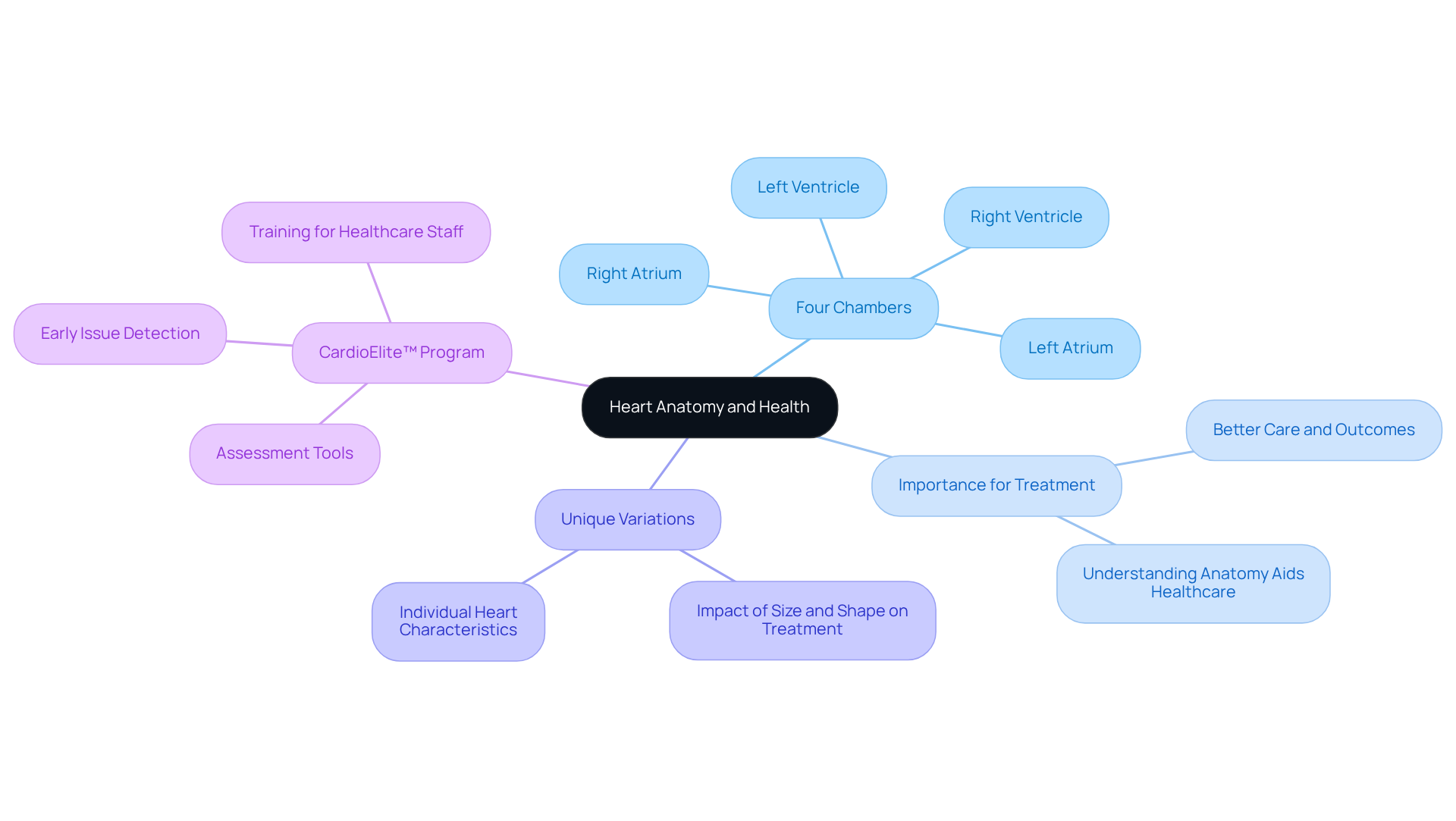 This mindmap starts with the heart at the center, branching out to show its four chambers and their roles. It also highlights why understanding heart anatomy is crucial for treatment, especially for older adults, and introduces the CardioElite™ program that supports heart health. Each branch helps you see how these concepts connect.