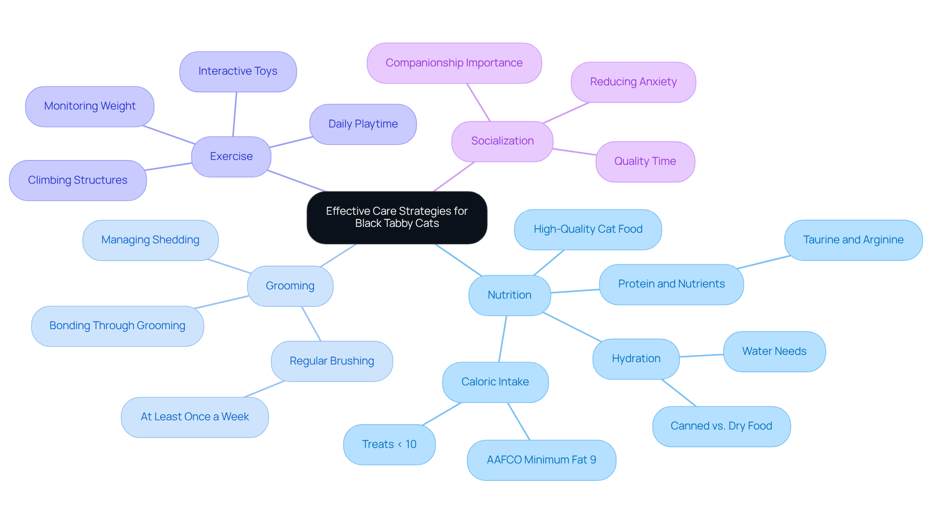 The center of the mindmap highlights the main focus on care strategies, while the branches represent different areas of care. Each sub-branch provides specific tips and recommendations to help you care for your black tabby effectively. The center of the mindmap highlights the main focus on care strategies, while the branches represent different areas of care. Each sub-branch provides specific tips and recommendations to help you care for your black tabby effectively.