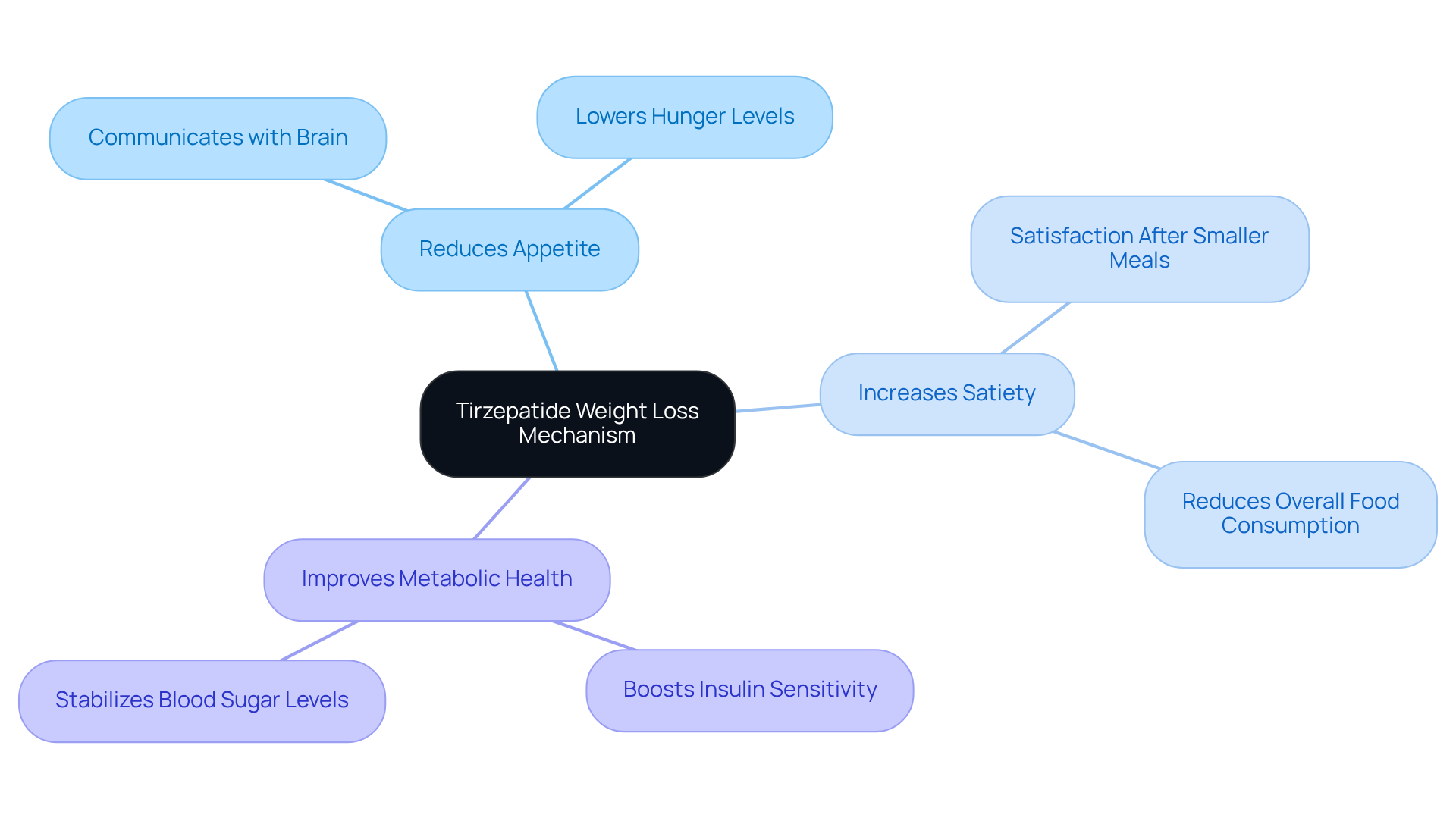 The central node represents Tirzepatide, with branches showing its effects on appetite and metabolism. Each sub-branch provides more detail on how these effects contribute to weight loss, illustrating the interconnectedness of the medication and the holistic program.