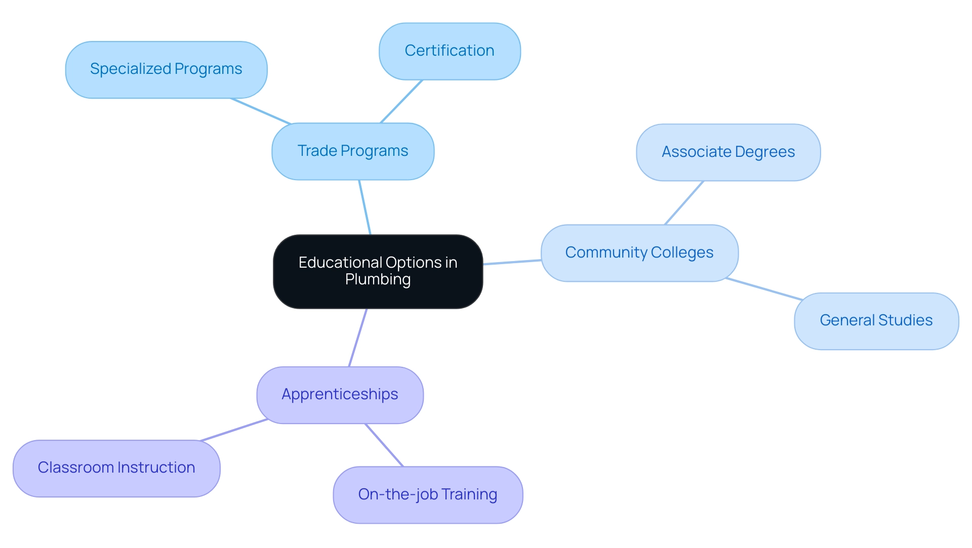 The central node represents the main topic, with branches indicating the three key educational options and their specific characteristics.