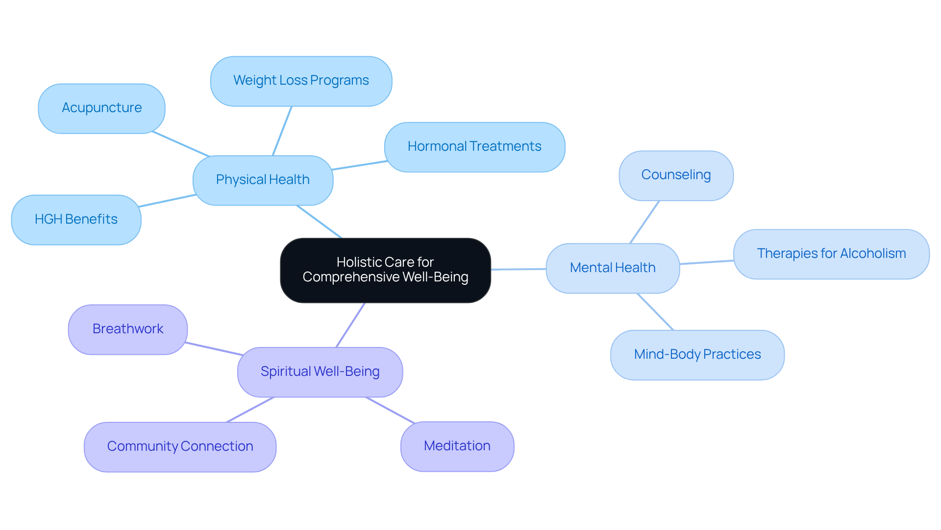 The center represents the overall goal of holistic care, while the branches show different aspects of health and treatment options. Each branch leads to specific services that contribute to a person's well-being.