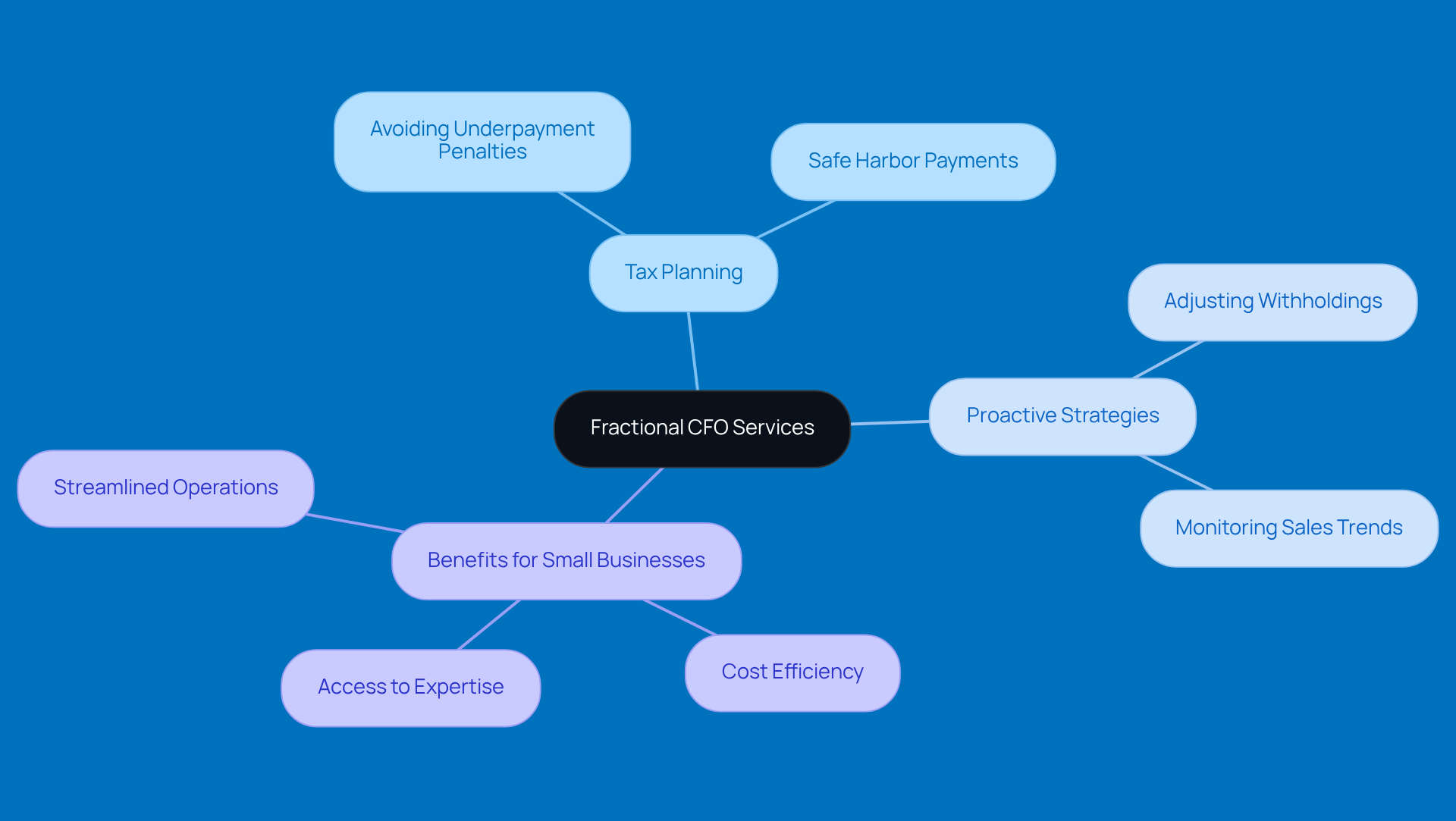 The center represents the main service offered, while the branches show related topics and strategies. Each color-coded branch helps you see how everything connects, making it easier to understand the overall approach to financial management.