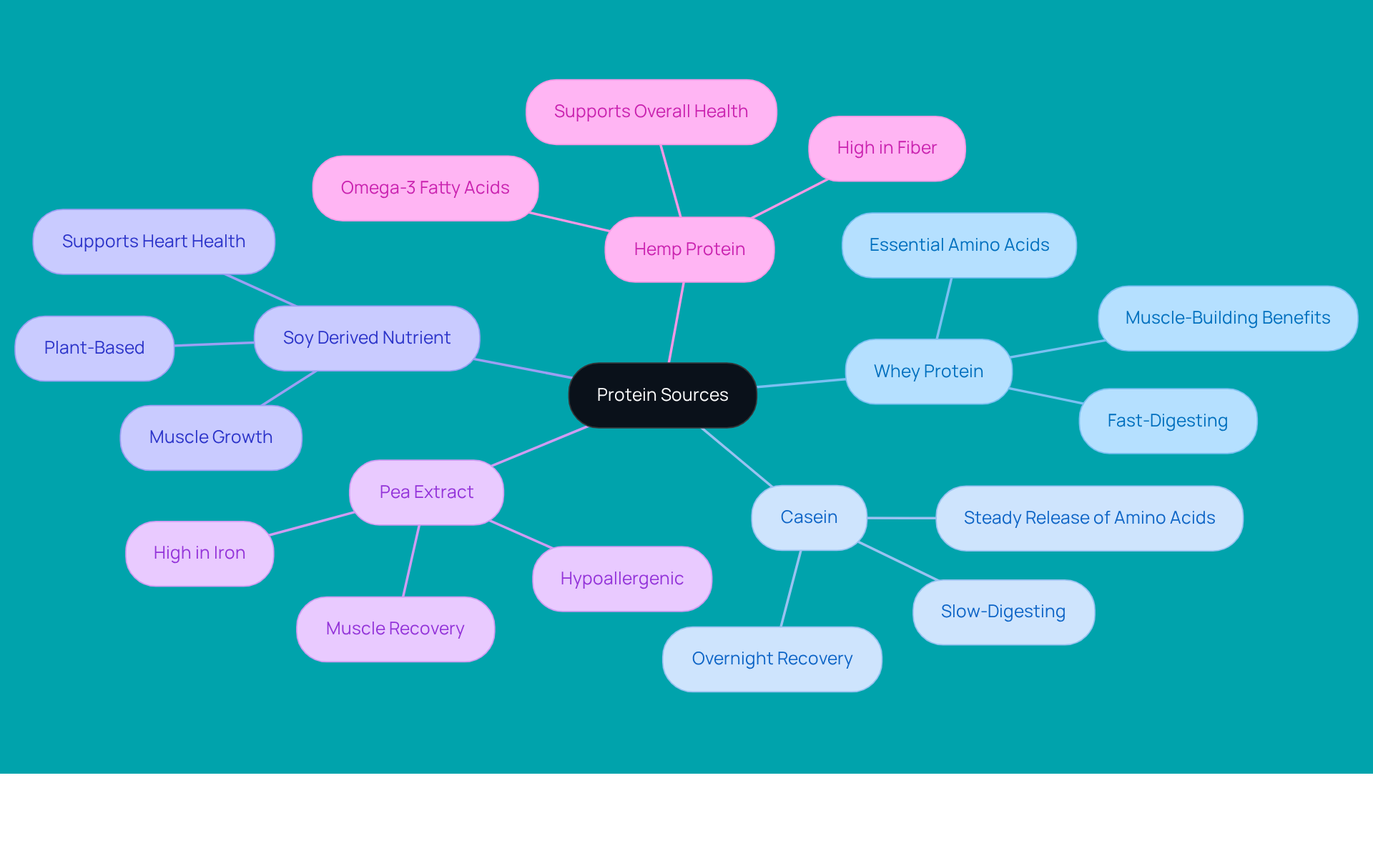 Start at the center with 'Protein Sources', then follow the branches to discover each type of protein and its benefits. Each color represents a different protein source, making it easy to differentiate between them.