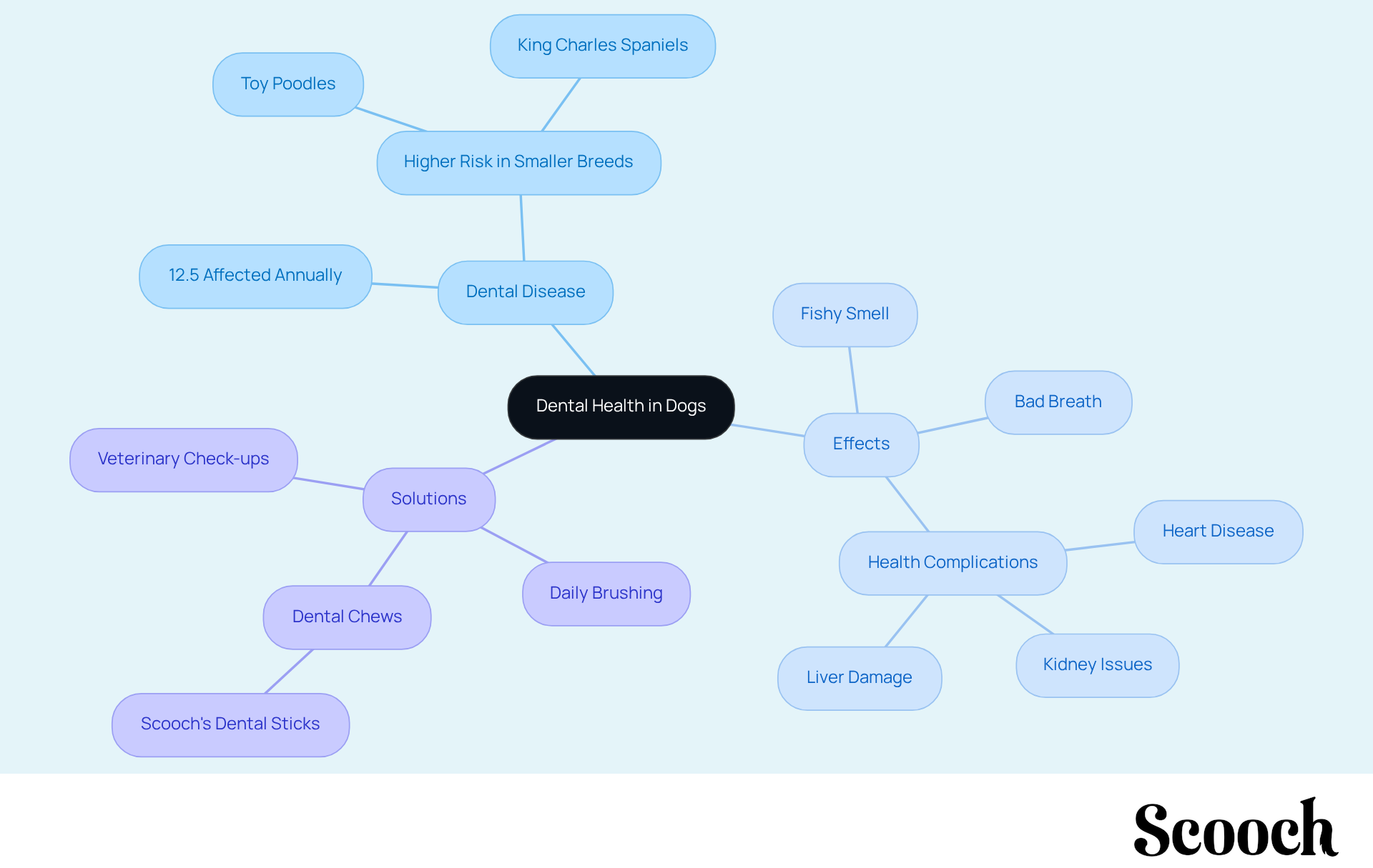 The center shows the main topic of dental health, with branches leading to the problems caused by poor dental hygiene and the solutions to maintain your dog's oral health.