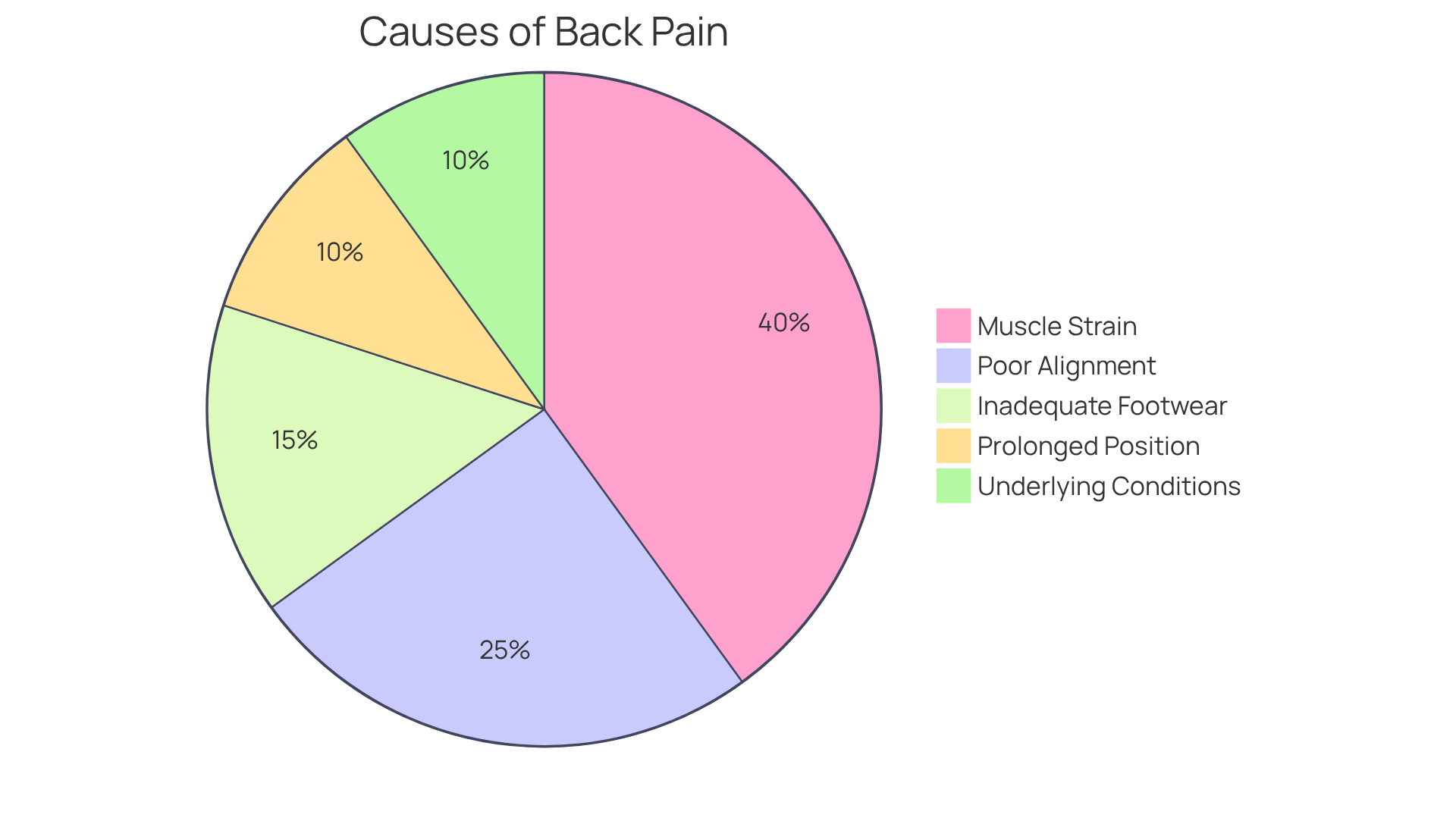 Each slice of the pie shows a different cause of back pain from standing. The size of each slice indicates how significant that cause is in contributing to the overall discomfort. A larger slice means that more people experience pain due to that specific factor. Each slice of the pie shows a different cause of back pain from standing. The size of each slice indicates how significant that cause is in contributing to the overall discomfort. A larger slice means that more people experience pain due to that specific factor.