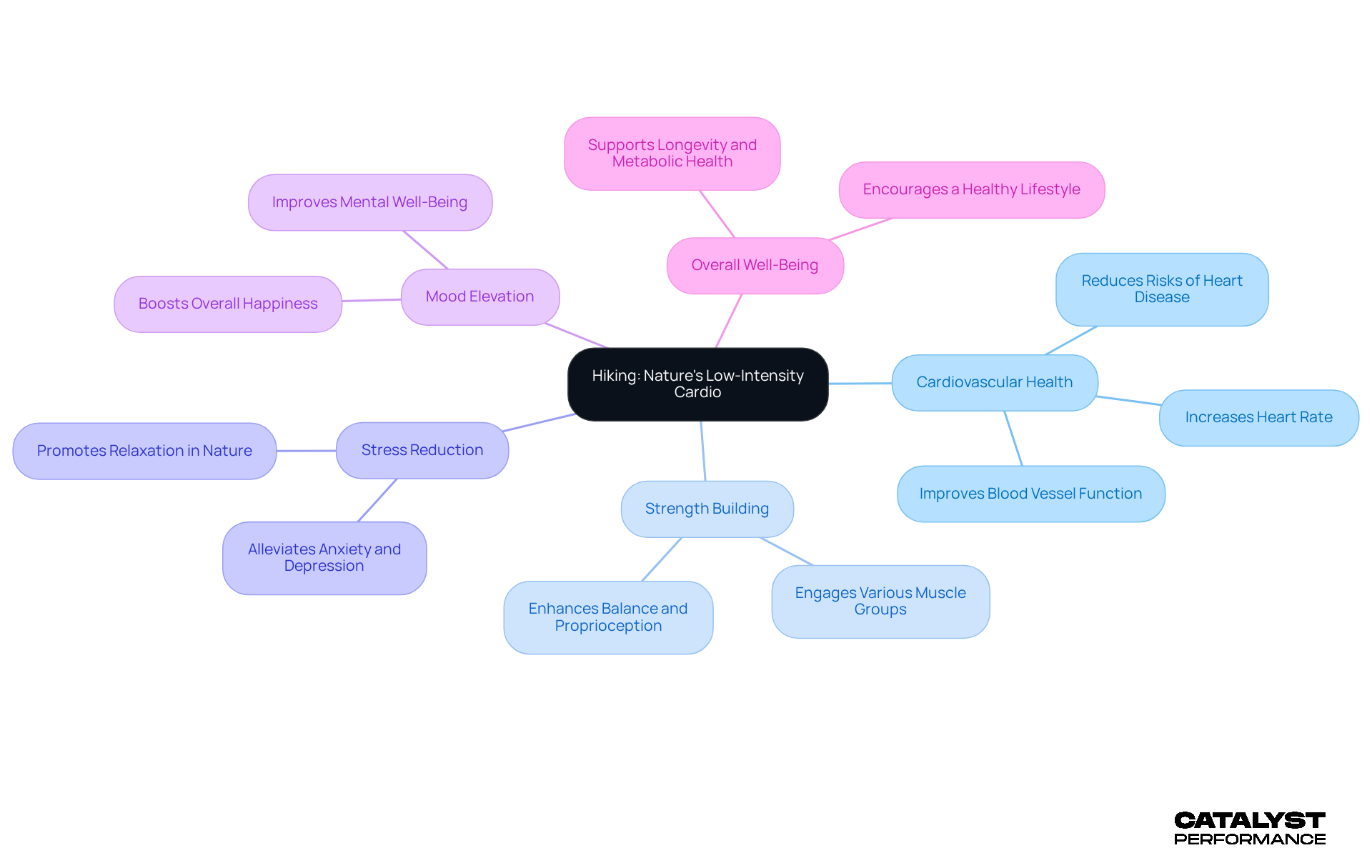 The central node represents hiking, while the branches show its various benefits. Each branch connects to specific examples or stories, illustrating how hiking contributes to health and happiness. The central node represents hiking, while the branches show its various benefits. Each branch connects to specific examples or stories, illustrating how hiking contributes to health and happiness.