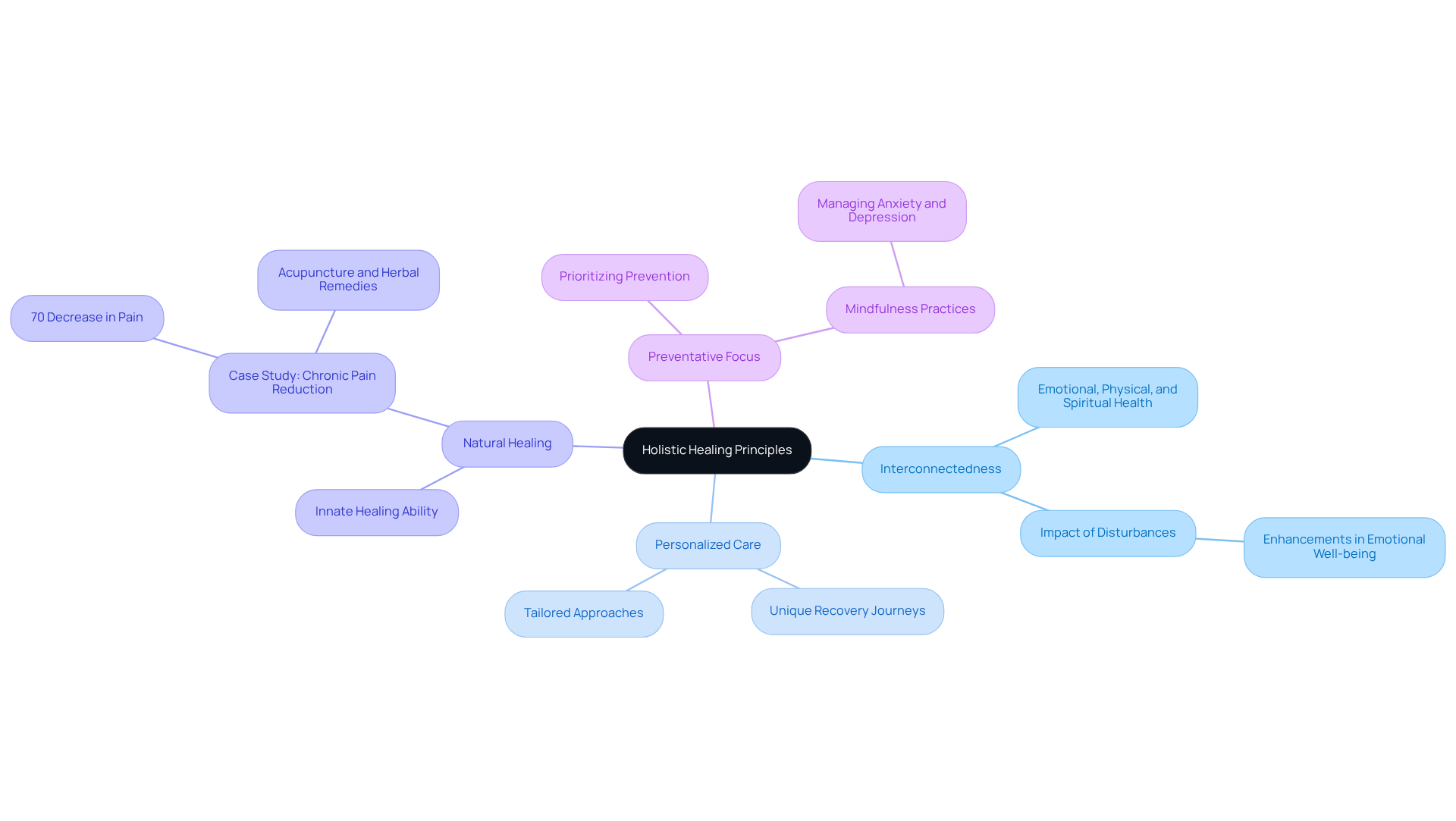 The center represents holistic healing, while the branches show the main principles. Each principle is connected to the central idea, illustrating how they contribute to overall wellness.