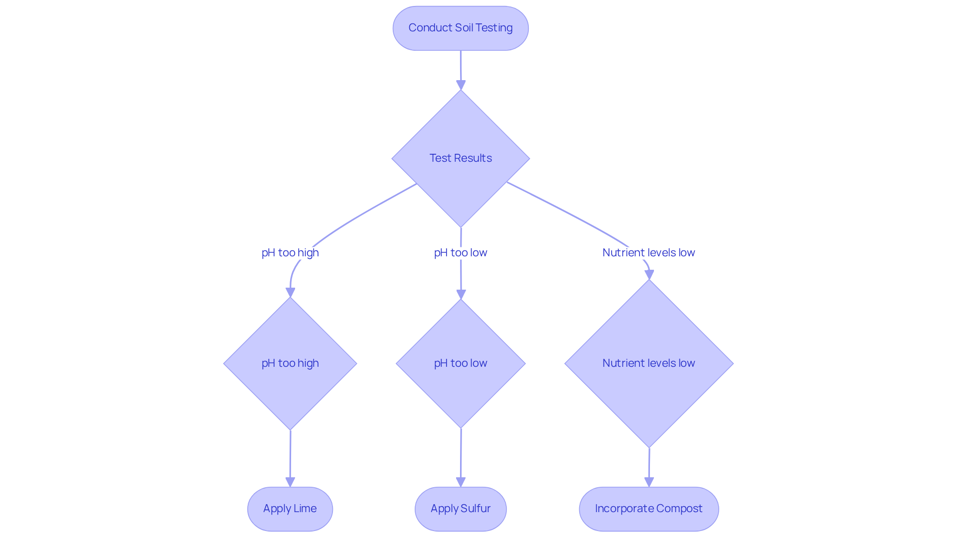 Follow the arrows to see how to test your soil and what to do based on the results. Each step shows a decision point and the actions you can take to improve your lawn.