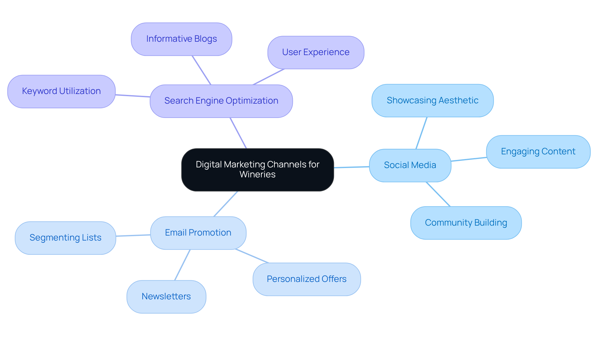 This mindmap illustrates how wineries can leverage different digital marketing channels. The central idea is supported by three main branches, each detailing specific actions and benefits for strengthening direct-to-consumer sales.