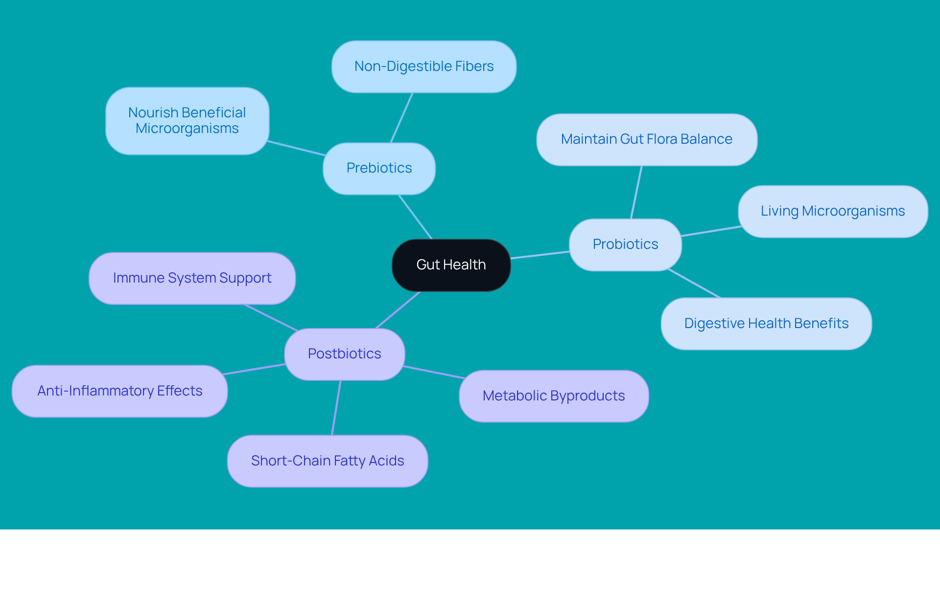 The central node represents gut health, while the branches show the three key components. Each sub-branch explains what each component does and how it contributes to overall wellness.