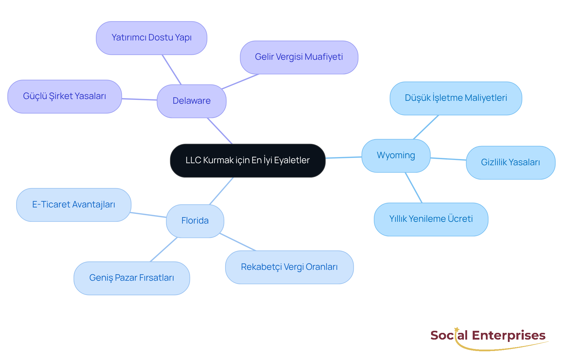 Merkezdeki başlıktan başlayarak, her eyaletin avantajlarını takip edin. Renkli dallar, hangi eyaletin ne tür avantajlar sunduğunu kolayca görmenizi sağlar. Merkezdeki başlıktan başlayarak, her eyaletin avantajlarını takip edin. Renkli dallar, hangi eyaletin ne tür avantajlar sunduğunu kolayca görmenizi sağlar.