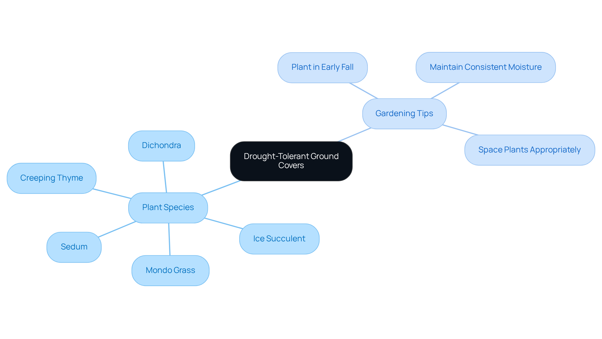 This mindmap starts with the main idea of using drought-tolerant plants for gardening. From there, you can see specific plant options and helpful tips for planting and care. Each branch represents a different aspect of sustainable gardening, making it easy to visualize how everything connects. This mindmap starts with the main idea of using drought-tolerant plants for gardening. From there, you can see specific plant options and helpful tips for planting and care. Each branch represents a different aspect of sustainable gardening, making it easy to visualize how everything connects.