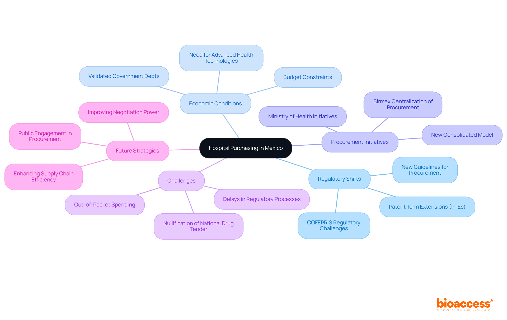 The central node represents the main topic, while branches show different influencing factors. Each color-coded branch helps you quickly identify themes and their related points, making it easier to understand the complexities of hospital purchasing.