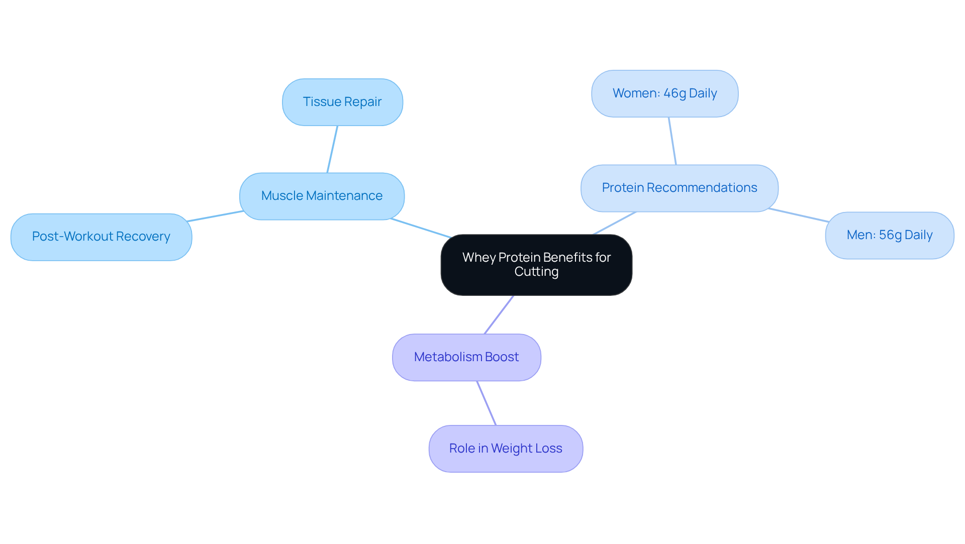 This mindmap shows how whey protein supports your weight loss journey. Start at the center with the main idea, then follow the branches to see its benefits for muscle maintenance, recommended protein intake for men and women, and how it helps boost metabolism.