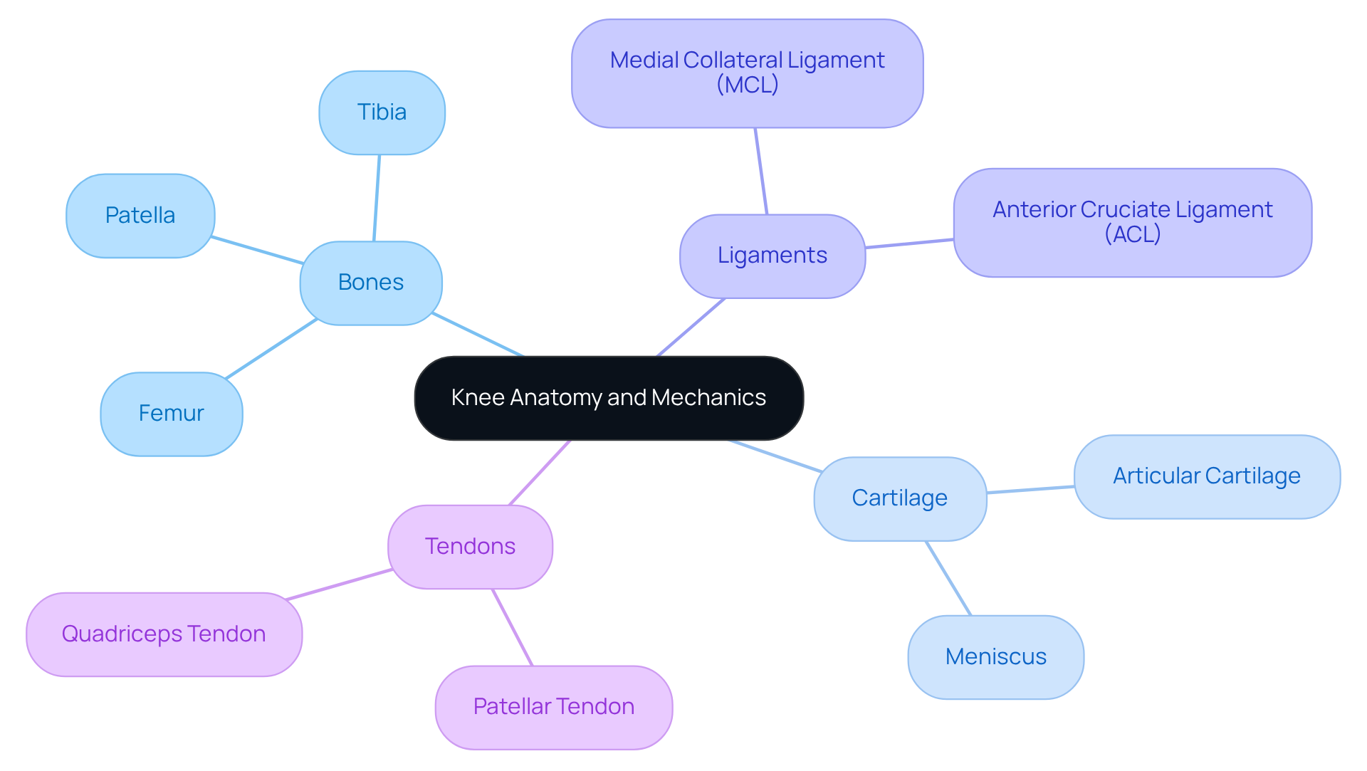 This mindmap illustrates the key components of the knee and how they relate to each other. Start at the center with the main topic, then explore each branch to learn about bones, cartilage, ligaments, and tendons. Each sub-branch provides specific details, helping you understand the complex structure of your knee and the mechanics behind popping sounds.