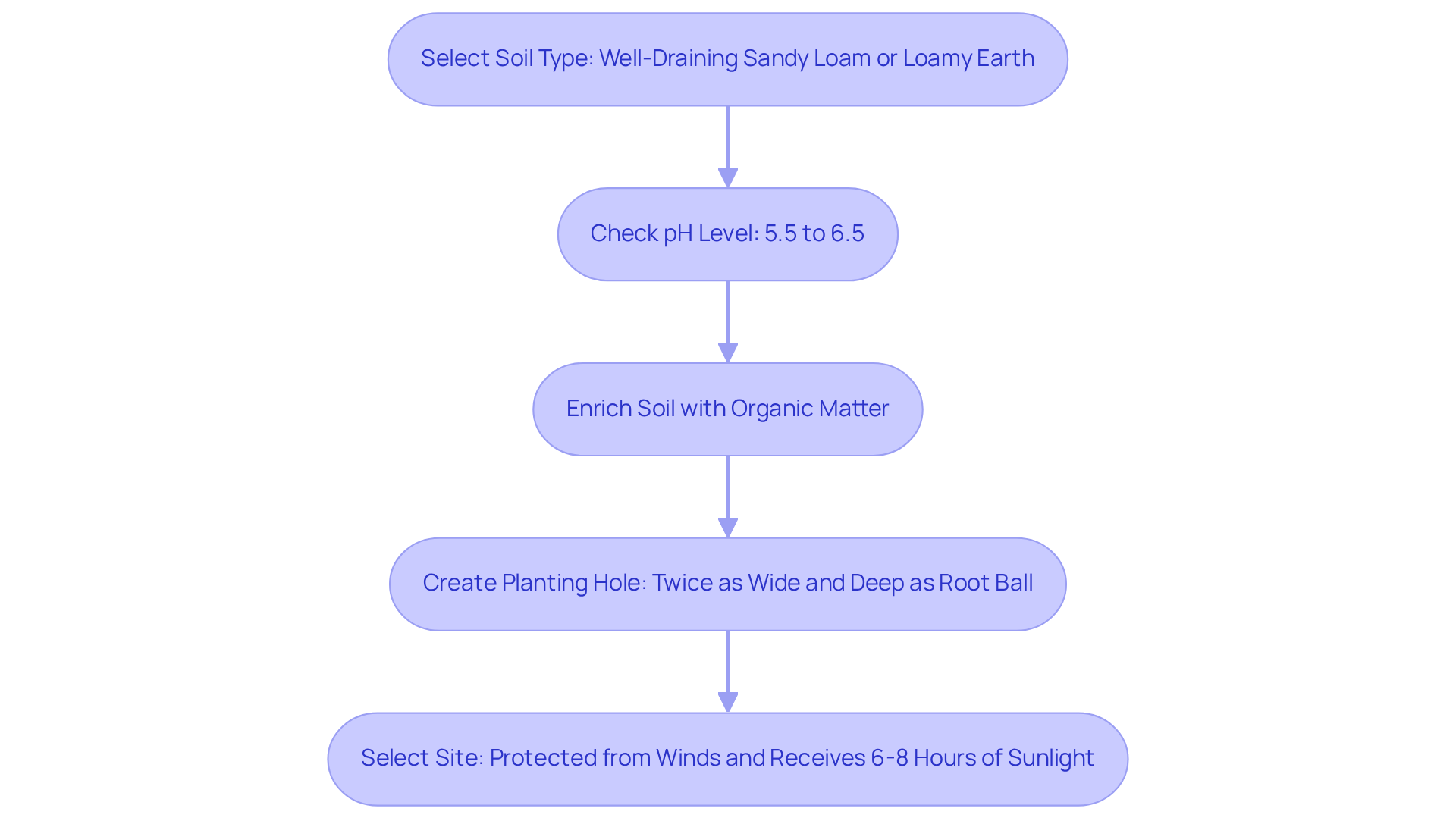 Each box outlines a crucial step in preparing the soil and site for your lara star fruit tree. Follow the arrows to ensure you don't miss any important actions for a successful planting.