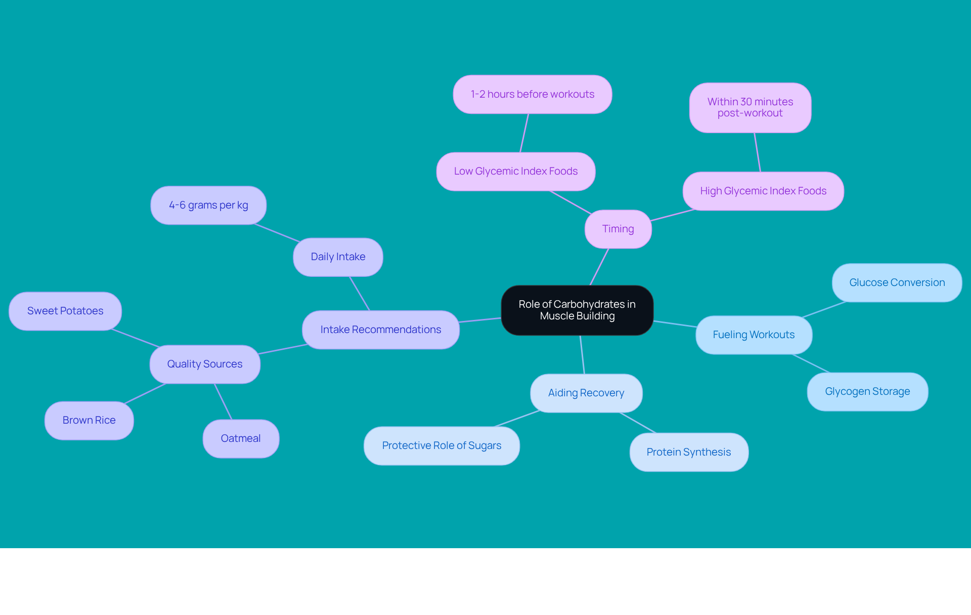 This mindmap shows how carbohydrates contribute to muscle building. Start at the center with the main idea, then follow the branches to explore how they fuel workouts, aid recovery, and what to eat and when.