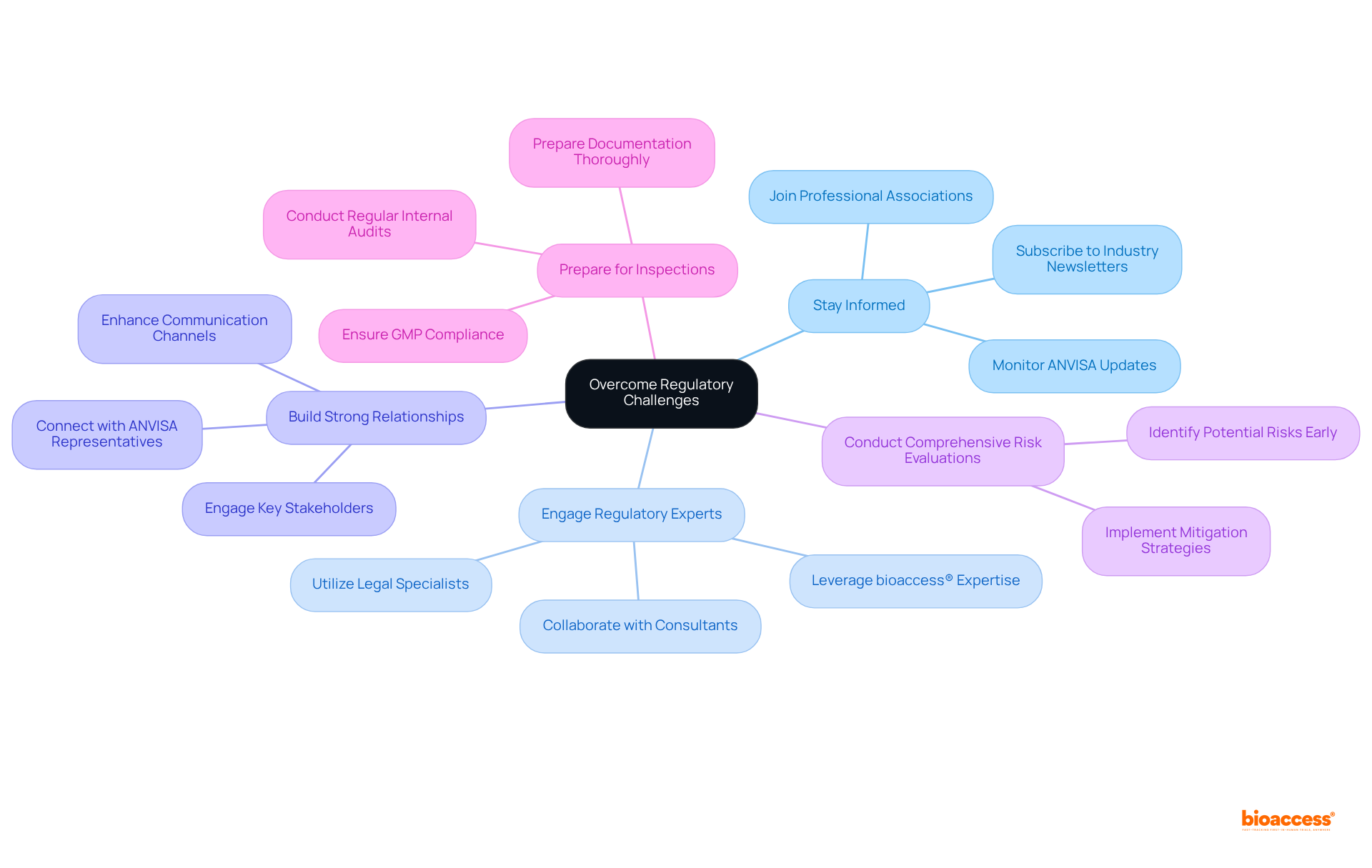 The central node represents the main goal of overcoming regulatory challenges, and each branch shows a strategy to achieve this goal. Sub-branches provide further details on specific actions related to each strategy.