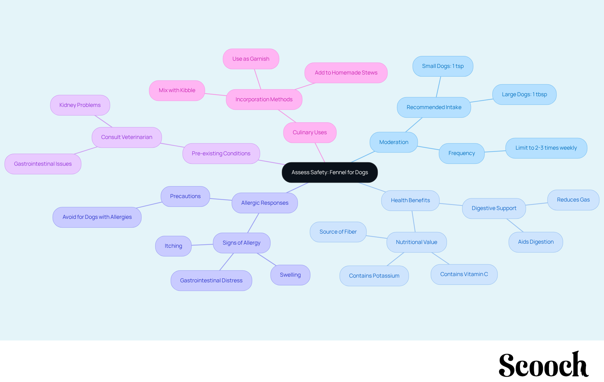 Can Dogs Eat Fennel Bulb? Safe Ways to Introduce It to Your Dog
